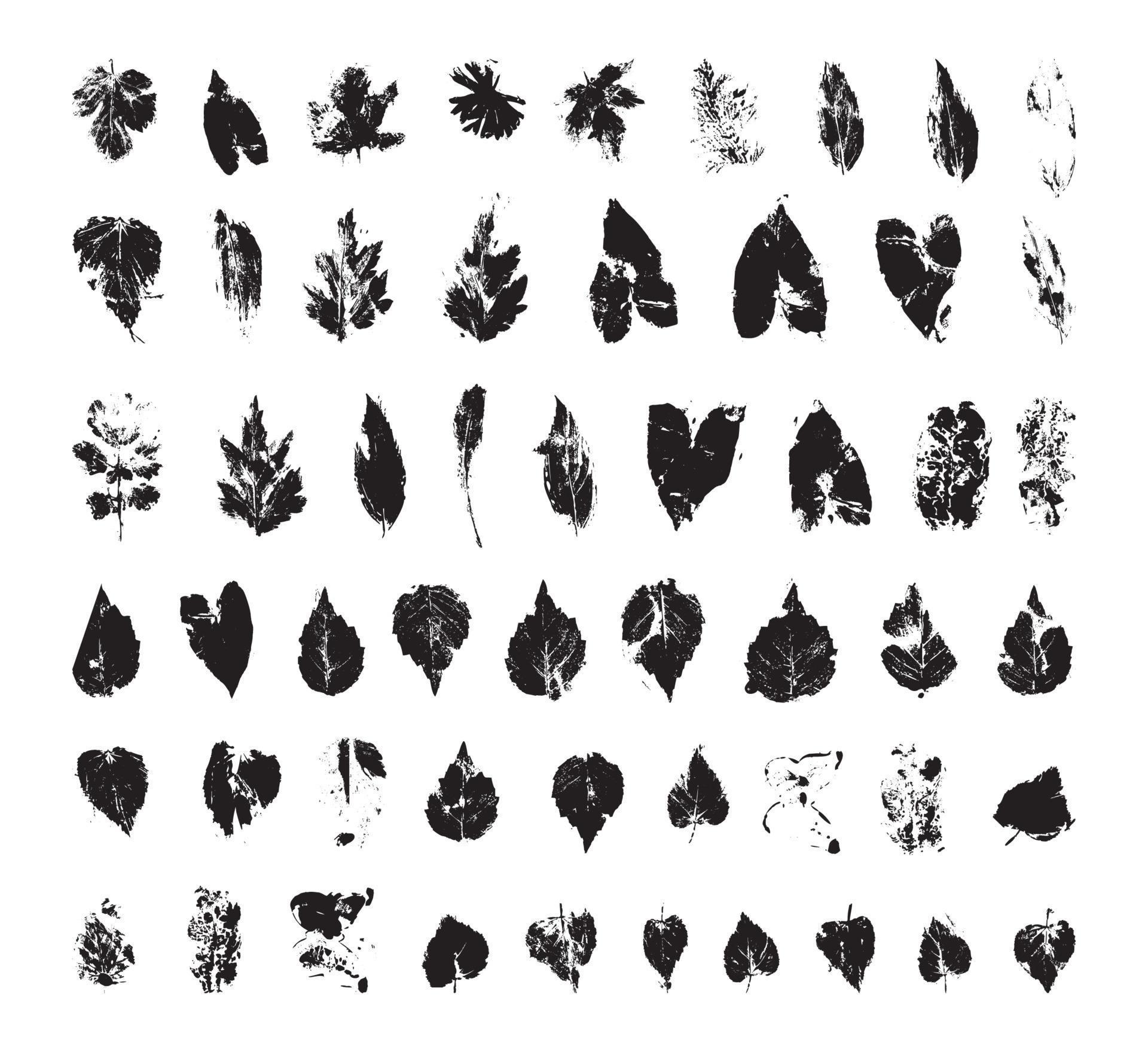 Set of Texture Leaves 9640510 Vector Art at Vecteezy