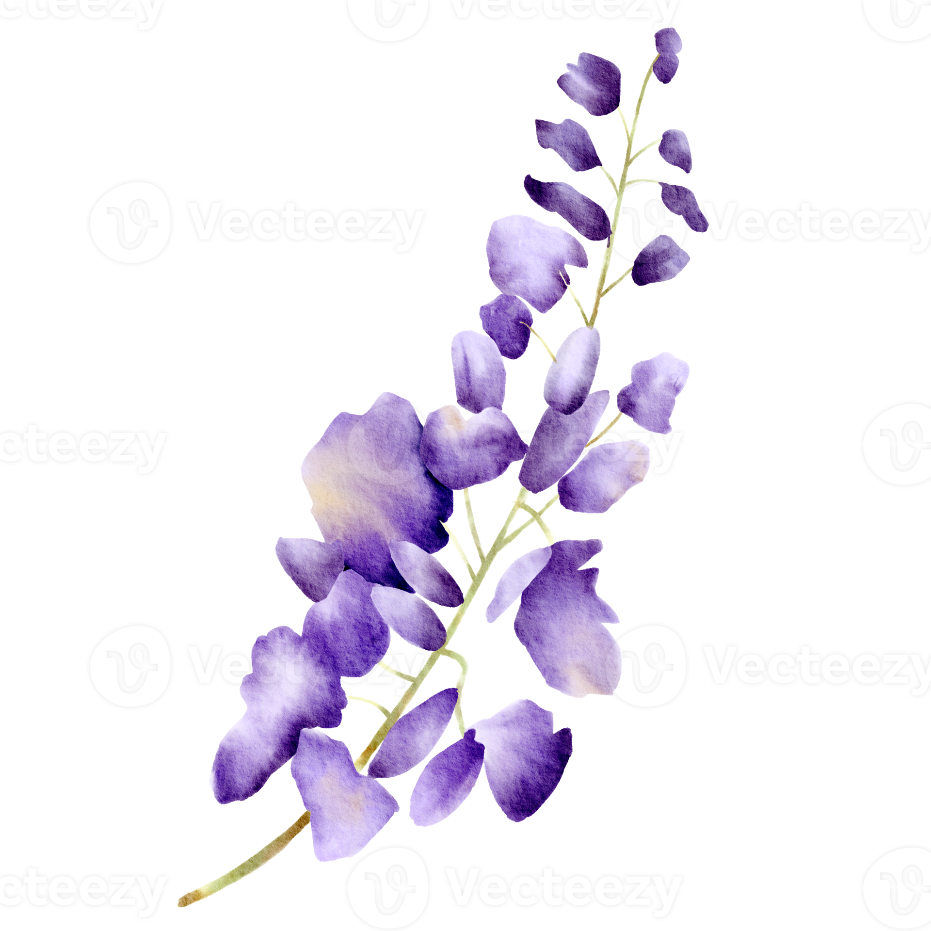 watercolor purple flowers 9657373 PNG