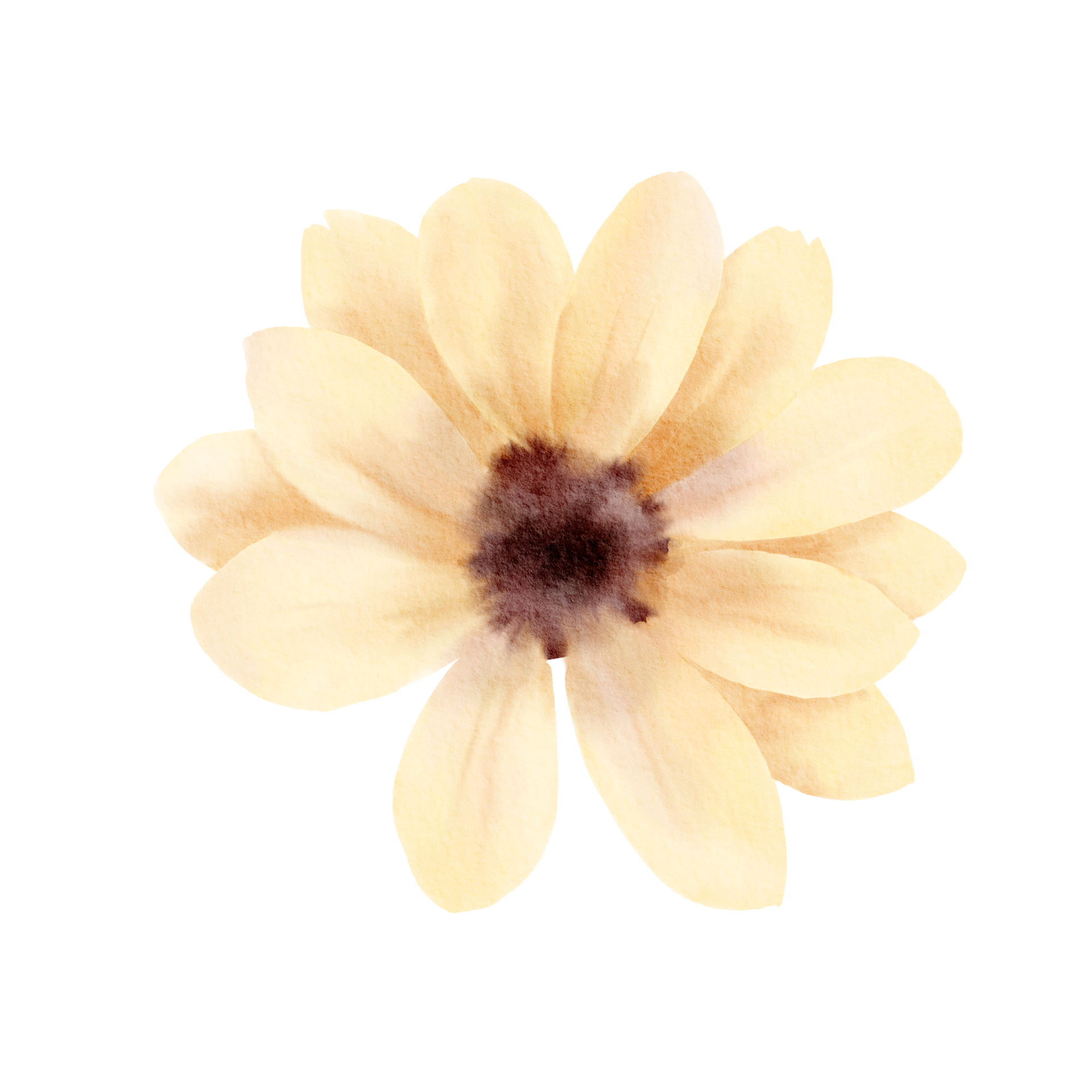 Acuarela De Flores Naturales 9657379 Png