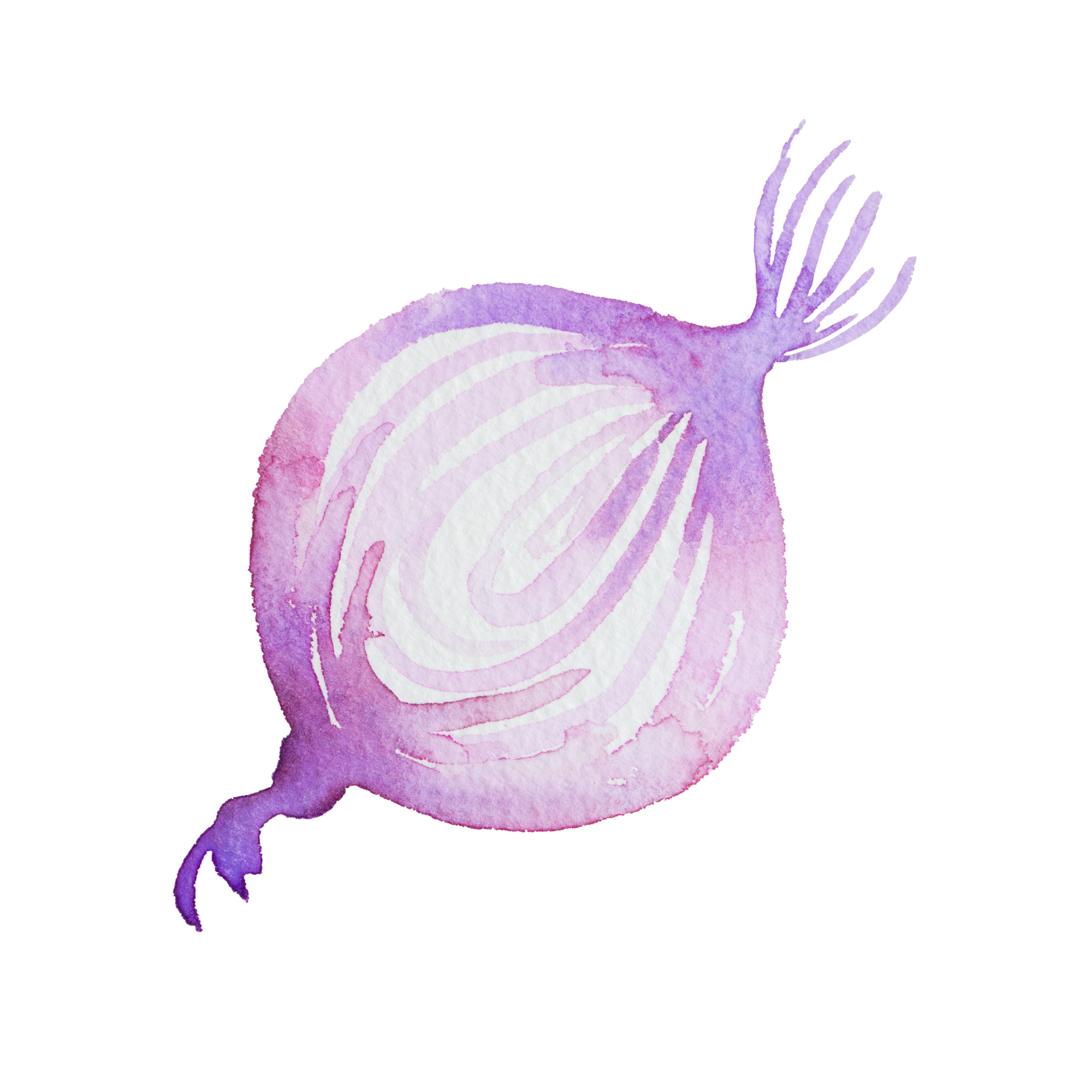 Shallots Watercolor Clipart 9657744 Png