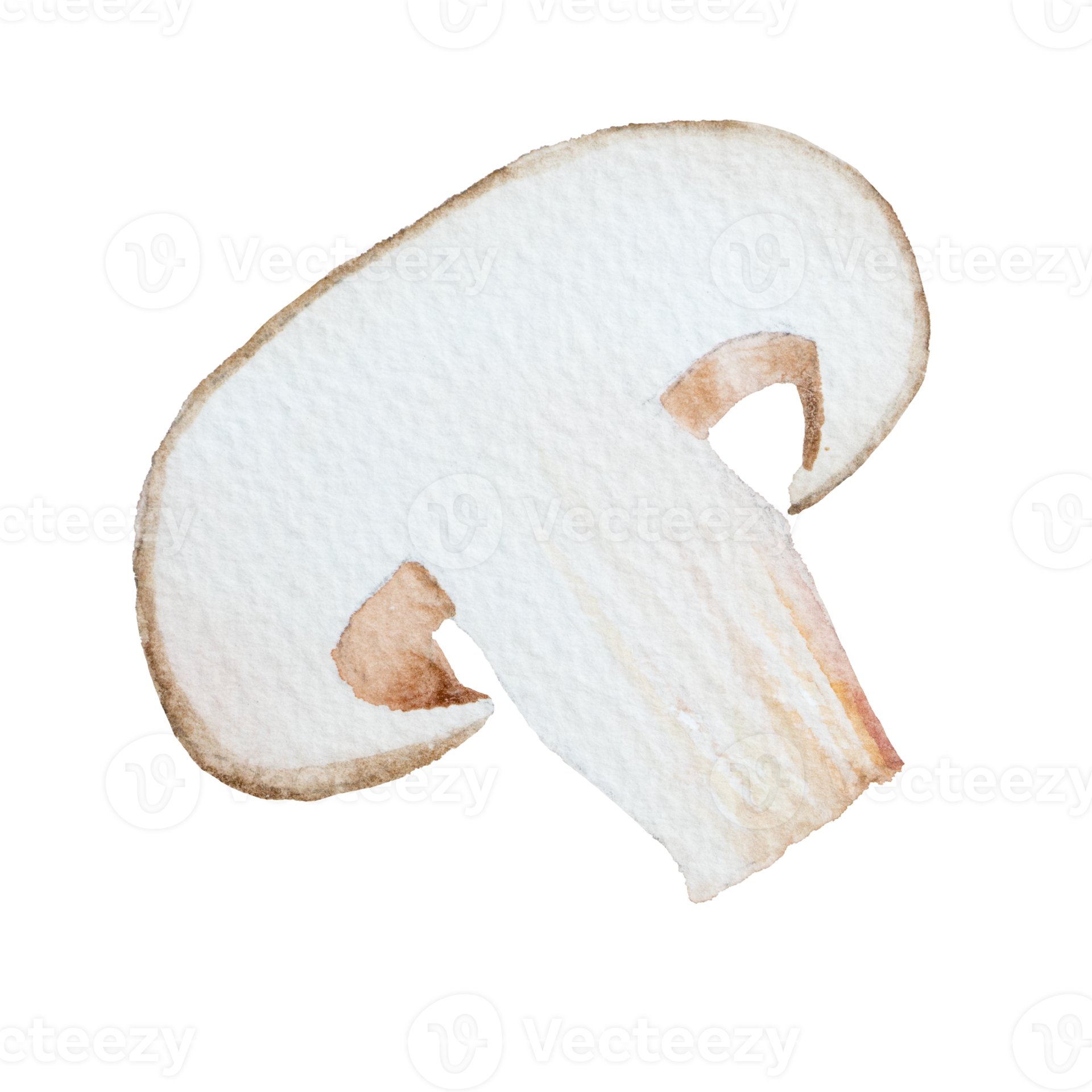 mushroom watercolor clipart 9657756 PNG