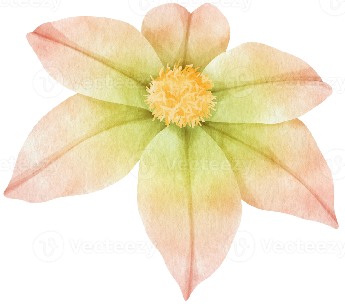 Flower Watercolor hand-painted 9659978 PNG