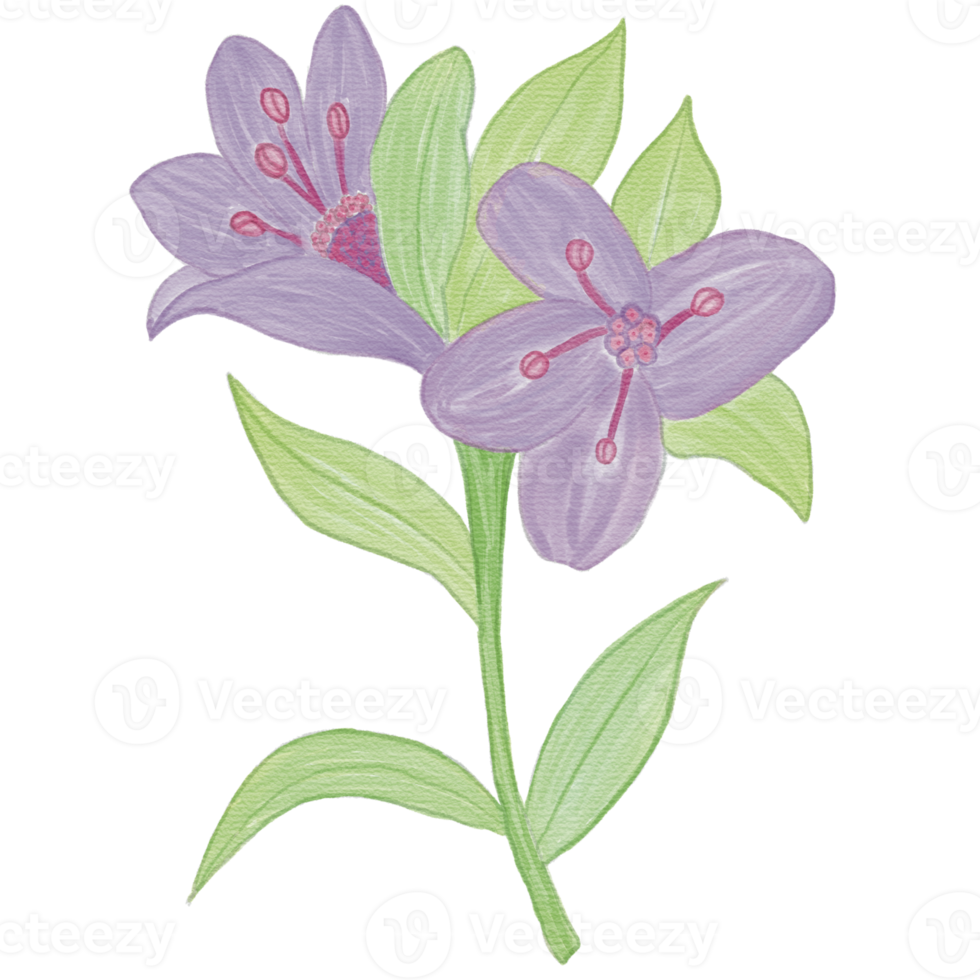 Watercolor Flower Element 9667897 Png