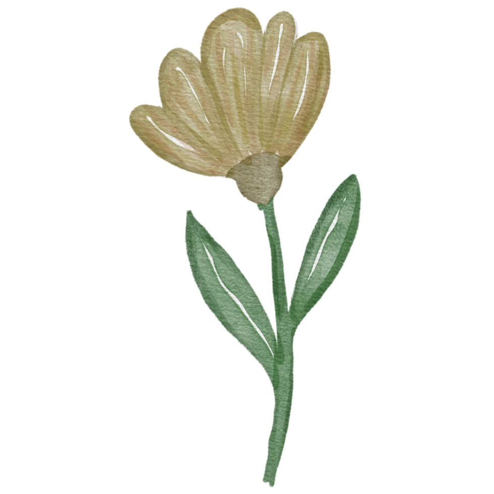 Flower Watercolor Element 9667925 Png