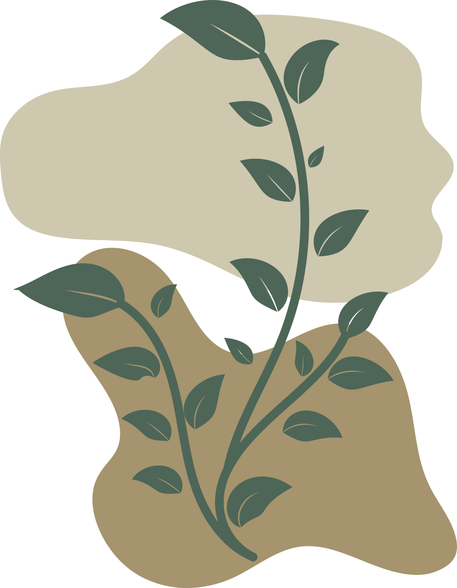 Free Botanical Floral Hand Drawn With Organic Blob Shape Leaf And Free Botanical Floral Hand Drawn With Organic Blob Shape Leaf And