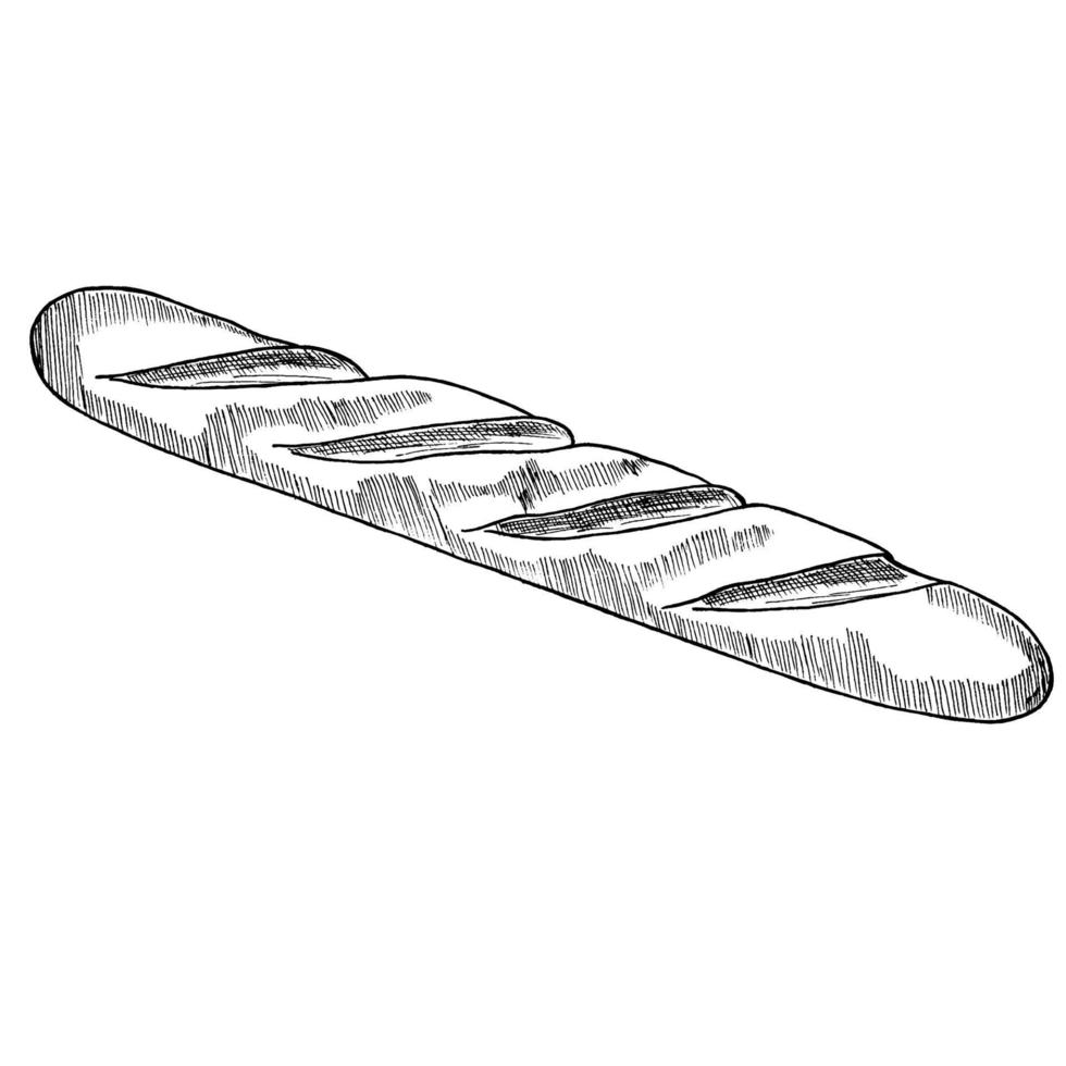 Vector hand drawn doodle sketch baguette bread isolated on white ... Vector hand drawn doodle sketch baguette bread isolated on white ...