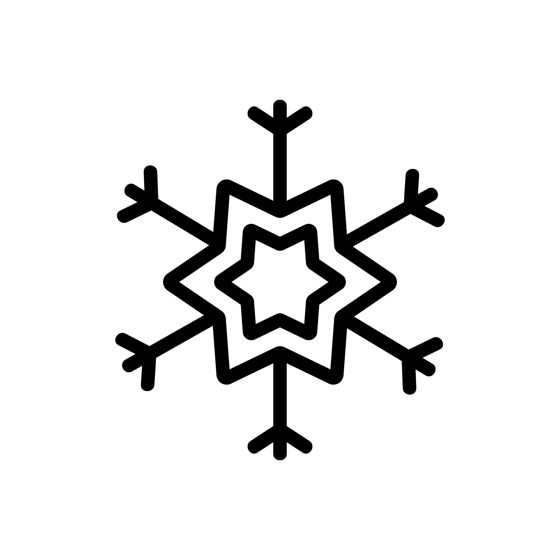 Winter snowflake icon vector. Isolated contour symbol illustration 9682959 Vector Art at Vecteezy