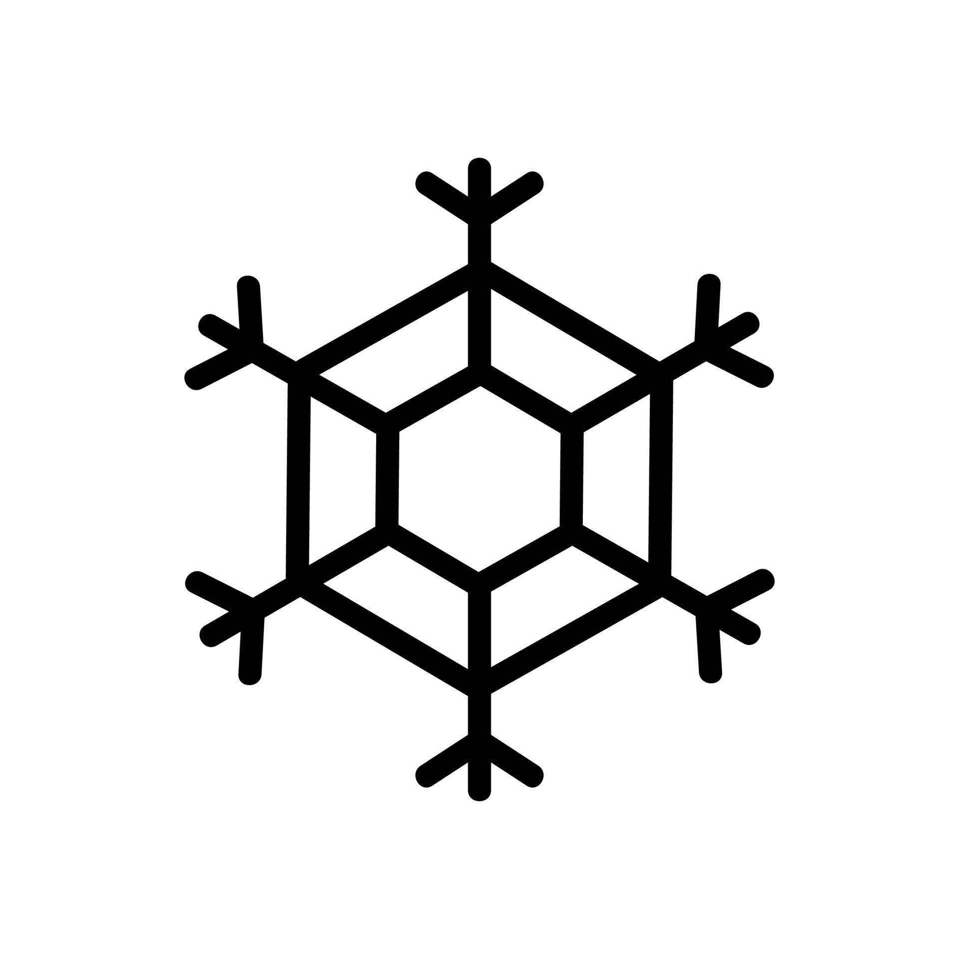 Winter snowflake icon vector. Isolated contour symbol illustration 9682975 Vector Art at Vecteezy
