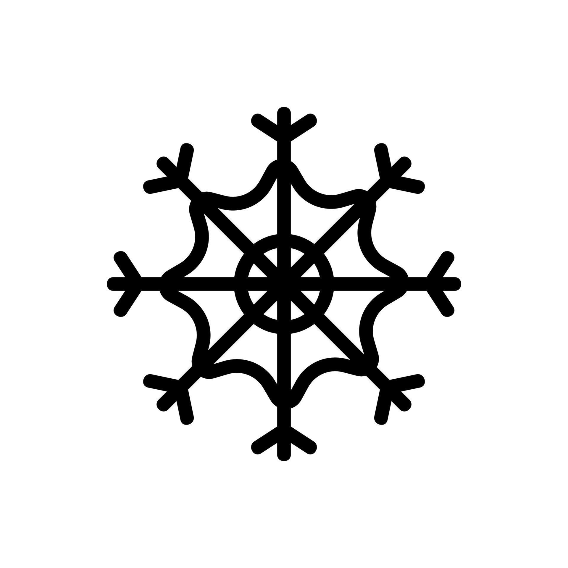 Winter snowflake icon vector. Isolated contour symbol illustration 9682981 Vector Art at Vecteezy