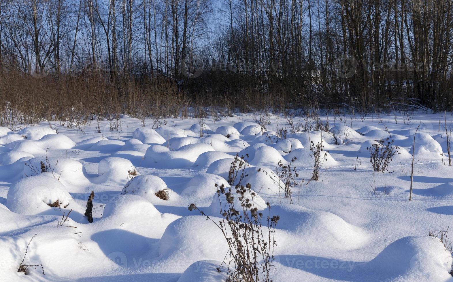 Page 11 | Snowdrift Stock Photos, Images and Backgrounds for Free Download