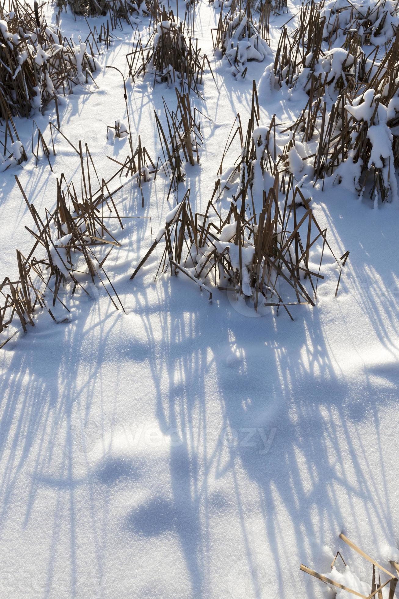 large snowdrifts after snowfalls and blizzards, the winter 9720199 ...