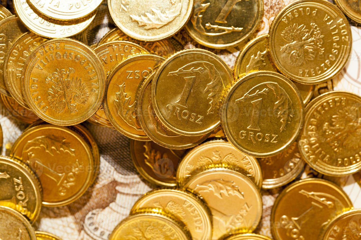 Polish Money Close Up 9720526 Stock Photo At Vecteezy polish-money-close-up-9720526-stock-photo-at-vecteezy