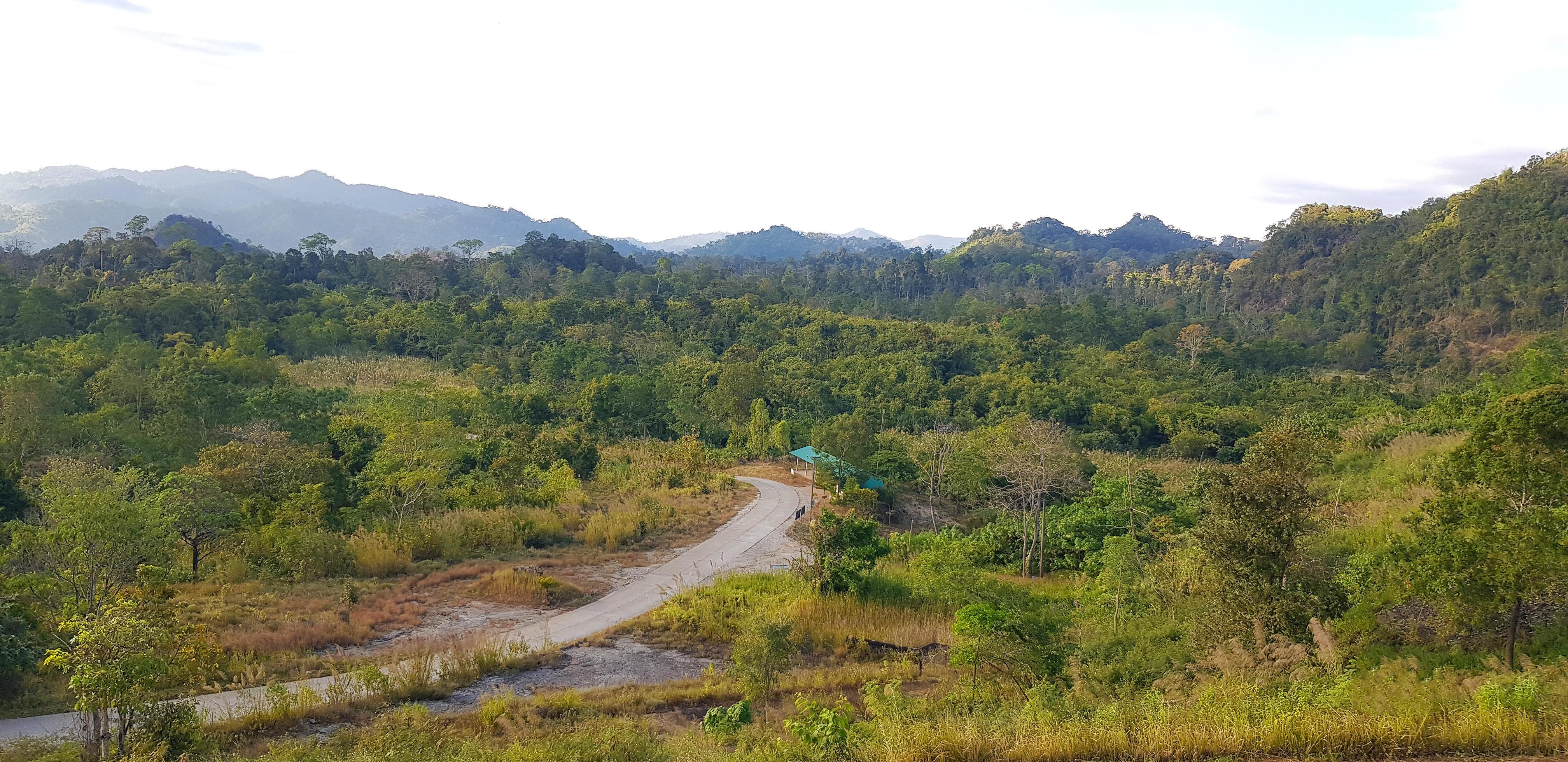 vista del paisaje del bosque tropical, la colina de la montaña y el fondo del cielo. punto de ...
