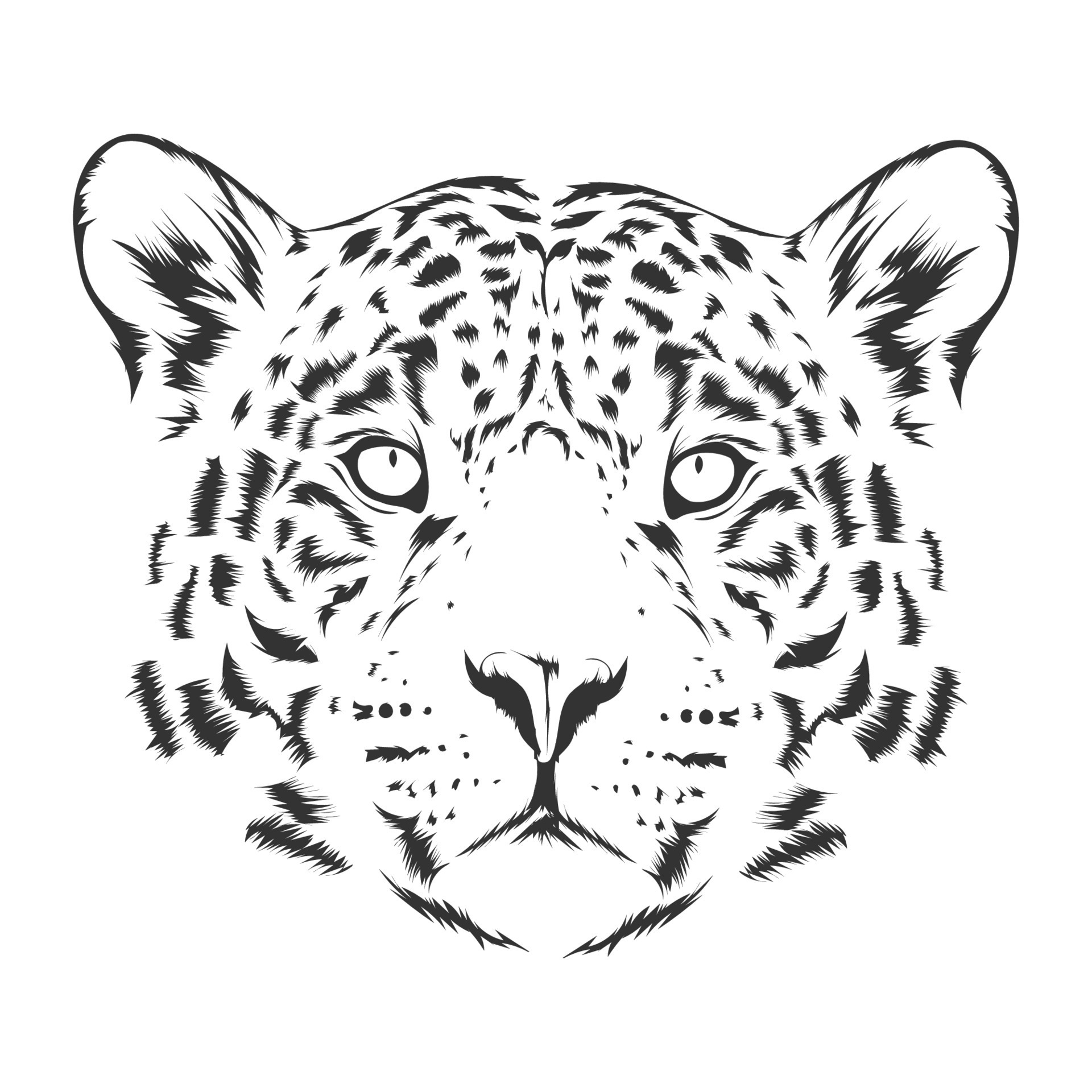 Leopard Vector Illustration 9743113 Vector Art At Vecteezy