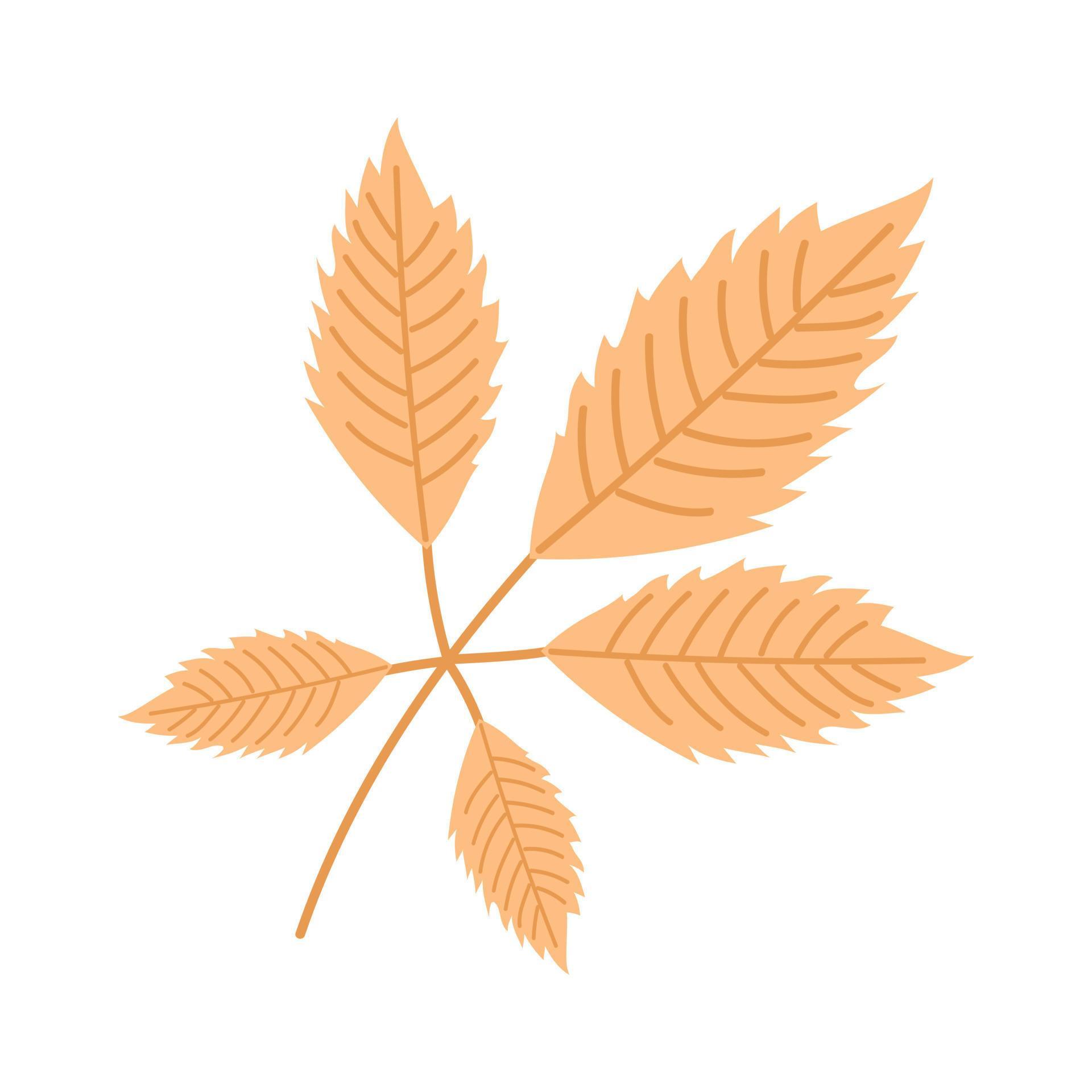 Autumn Leaves Doodle style Cozy autumn. Flat vector illustration ...