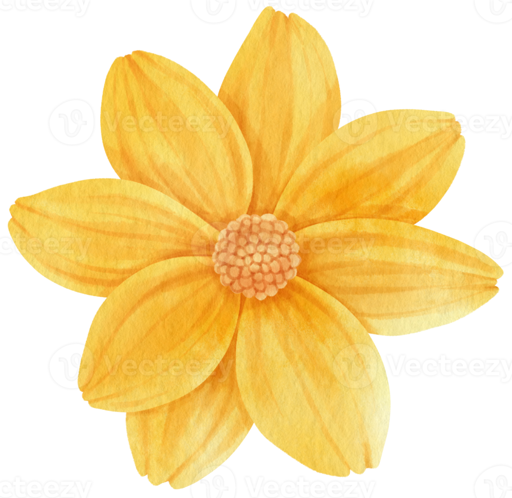 Yellow Flowers Watercolor Illustration 9787226 Png