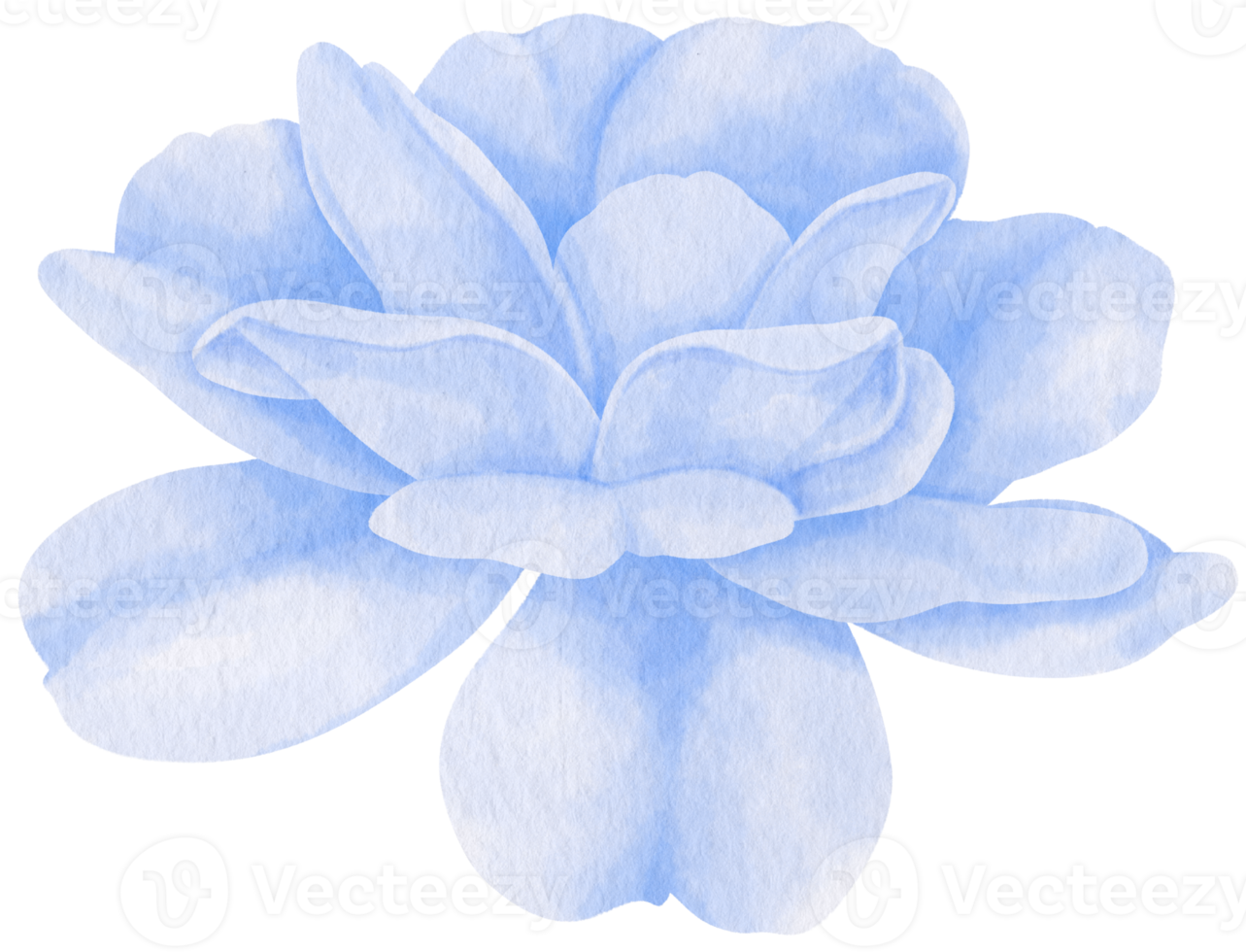 Rose Blue Flowers Watercolor Illustration 9787323 Png
