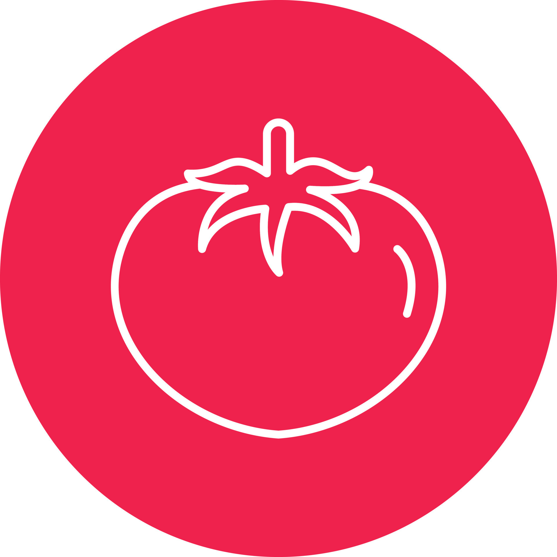 Line Circle Multicolour 9808805 Vector Art at Vecteezy