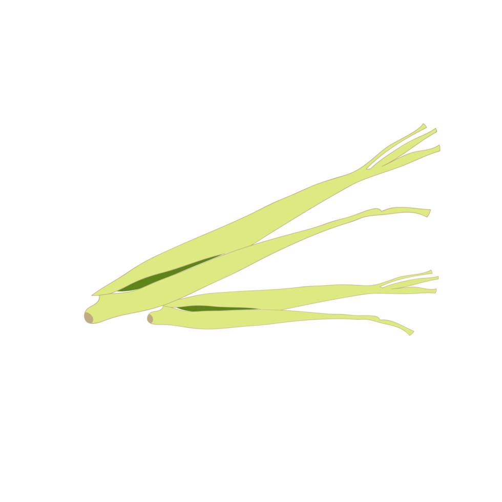 Green Lemon Grass 9827029 Png