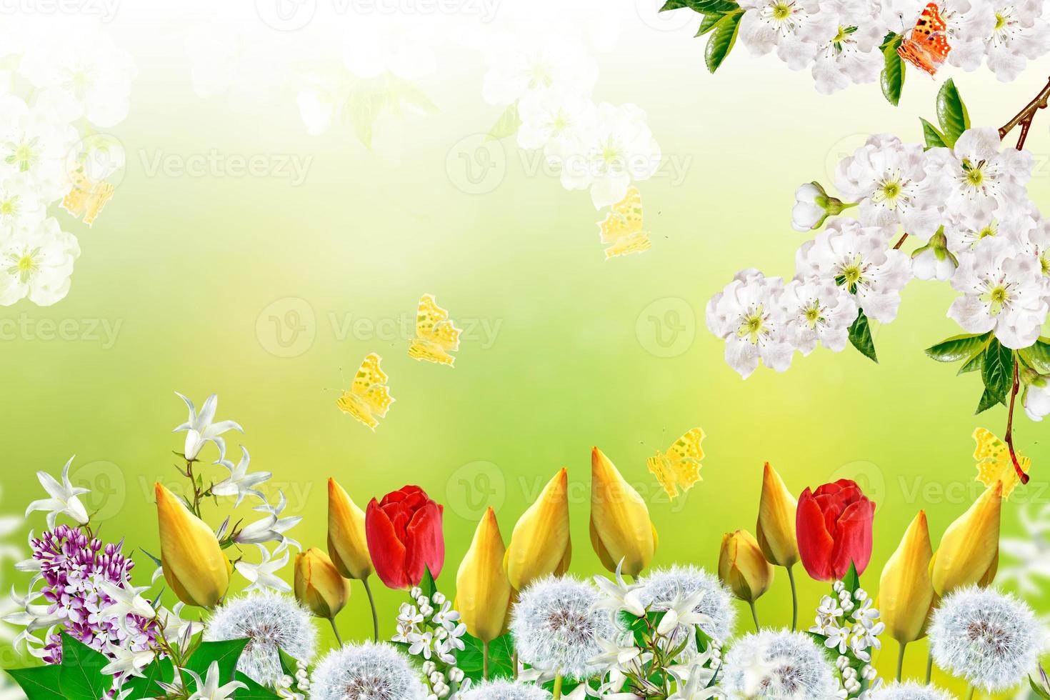 Floral background with bright spring flowers. 9847943 Stock Photo at ...