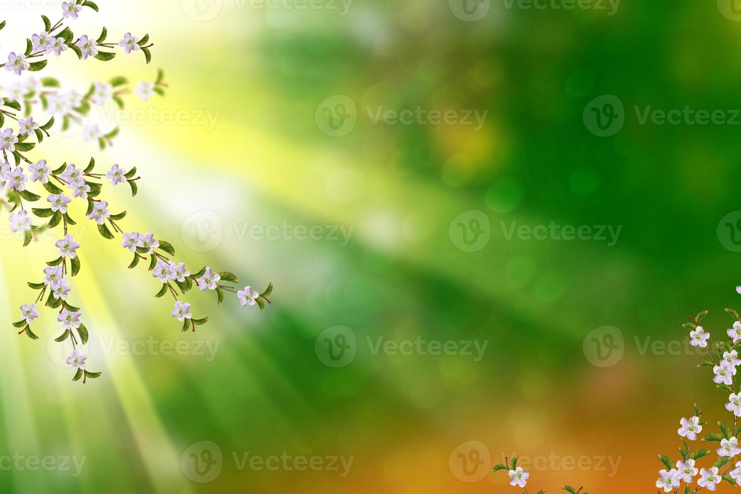 Page 2 | Spring Wallpaper Stock Photos, Images and Backgrounds for Free ...