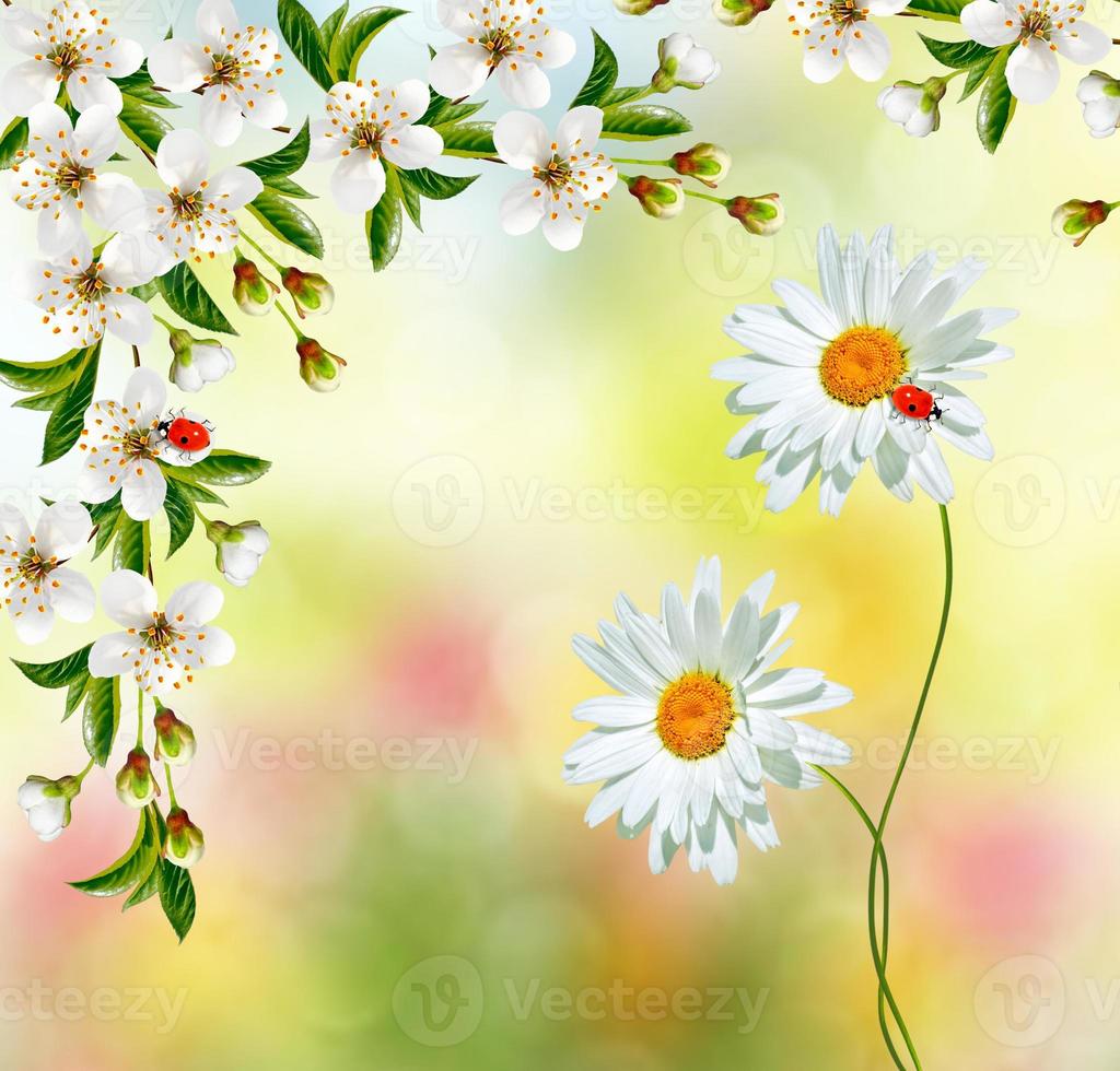 Bright colorful spring flowers 9849239 Stock Photo at Vecteezy