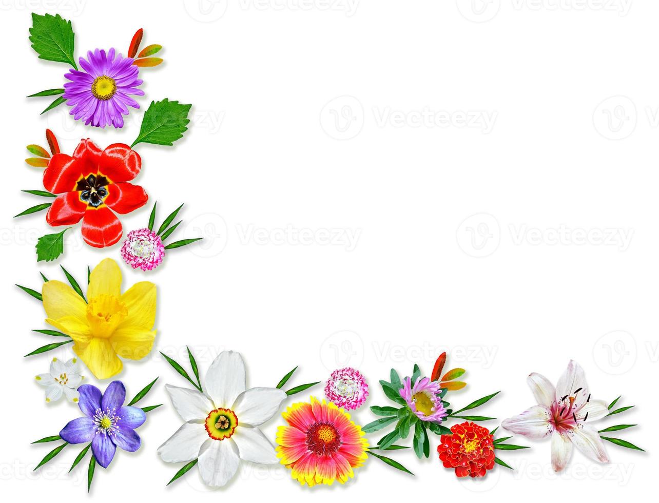 Frame of bright spring flowers. Floral background. 9850047 Stock Photo ...