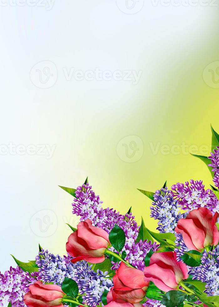 The buds of flowers roses. 9850515 Stock Photo at Vecteezy