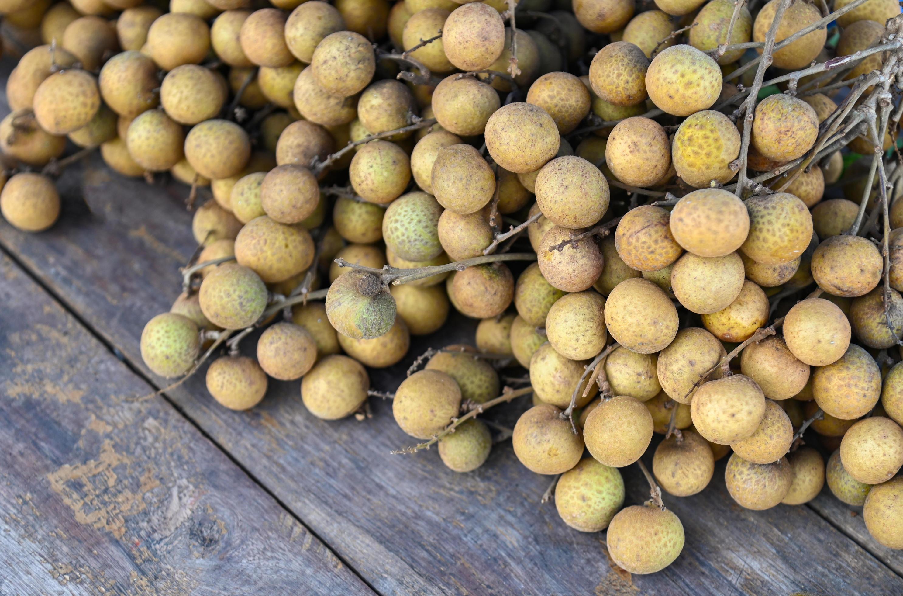 Longan fruits on wooden background, bunch of fresh longan tropical fruit in Thailand ...