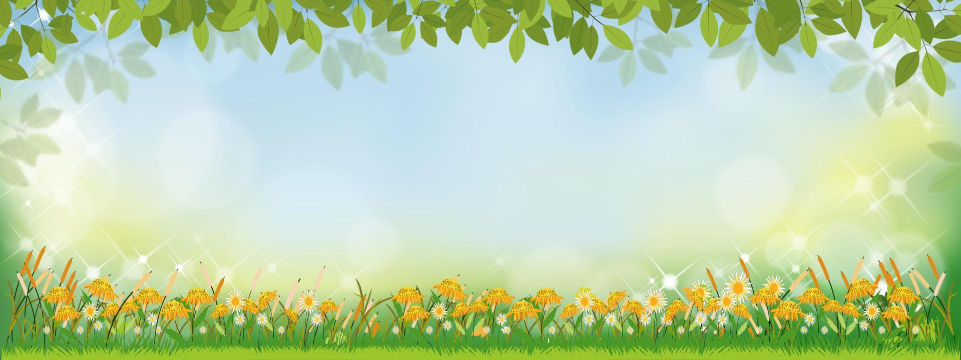 Vector Spring nature background with sunflowers and green grass field ...