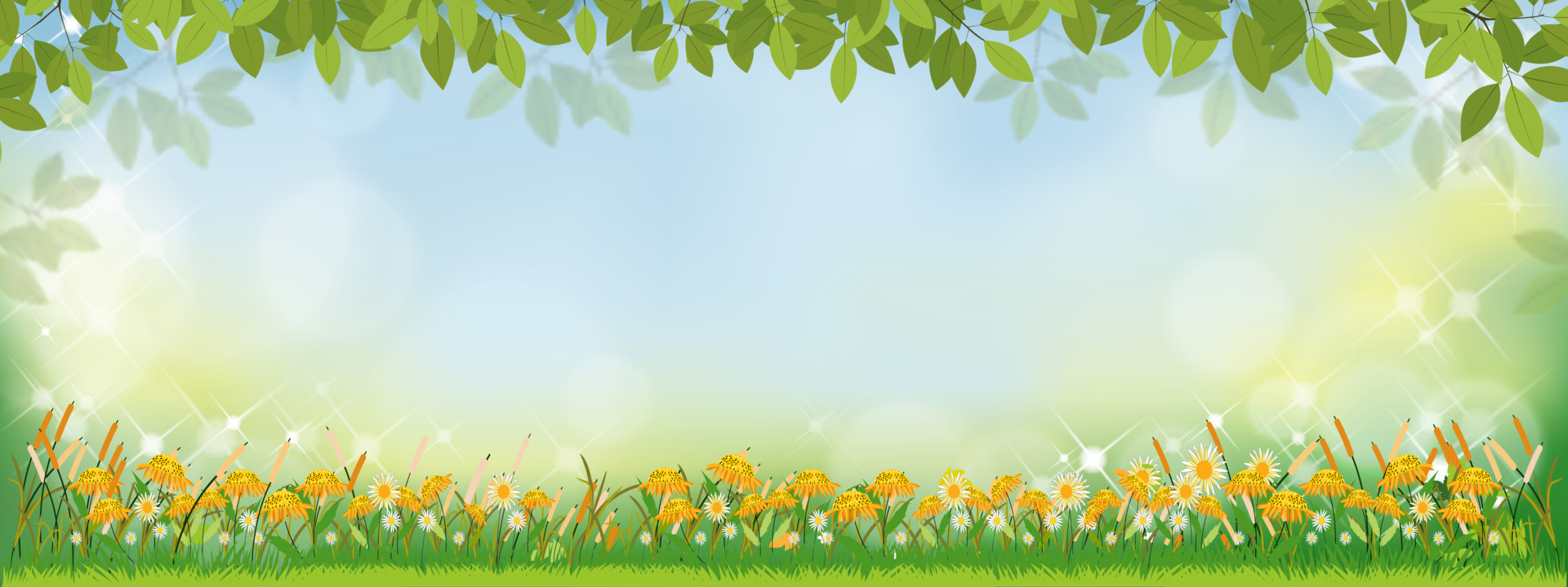 Vector Spring nature background with sunflowers and green grass field ...
