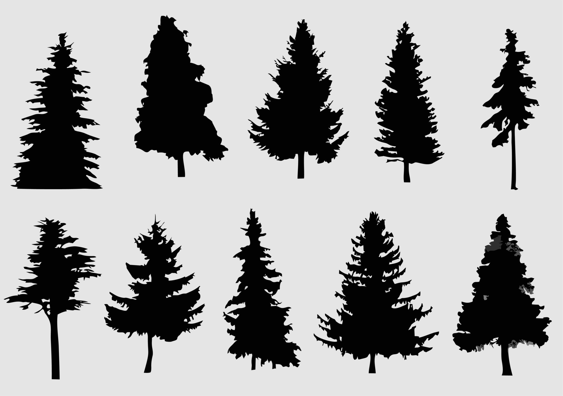 Pine Trees vector 9882399 Vector Art at Vecteezy