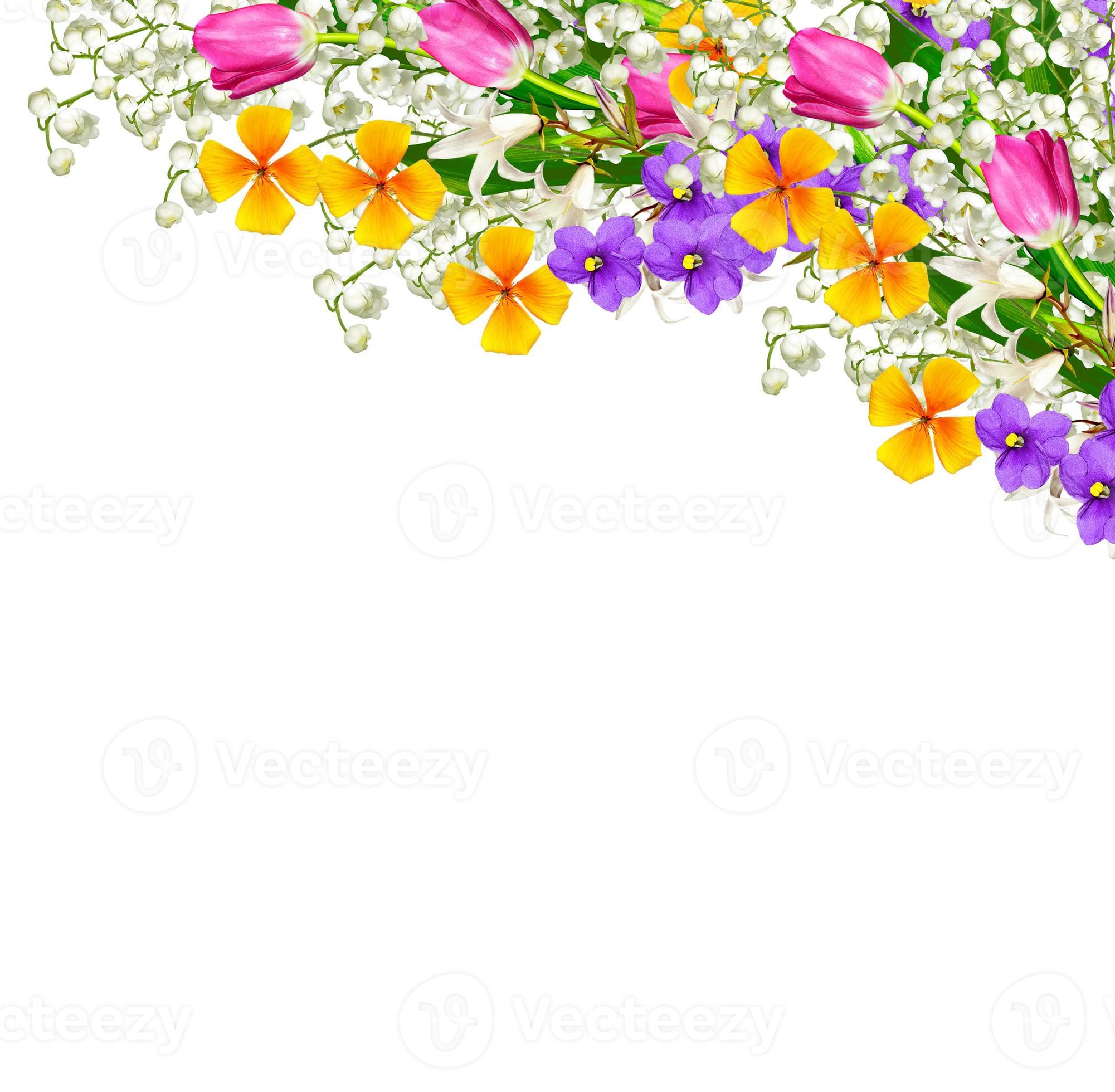 Colorful spring flowers 9886247 Stock Photo at Vecteezy