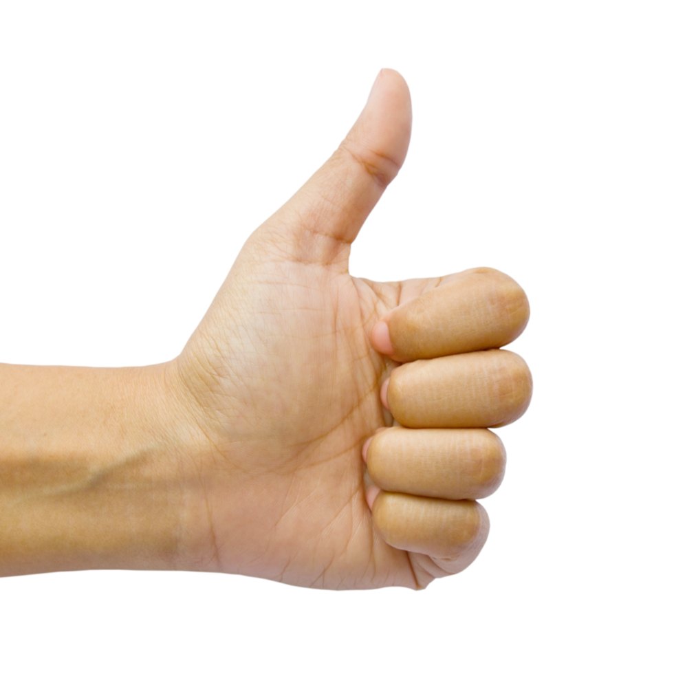 Hand Finger Thumb Thumbs Up Top Png Picpng - vrogue.co Hand Finger Thumb Thumbs Up Top Png Picpng - vrogue.co