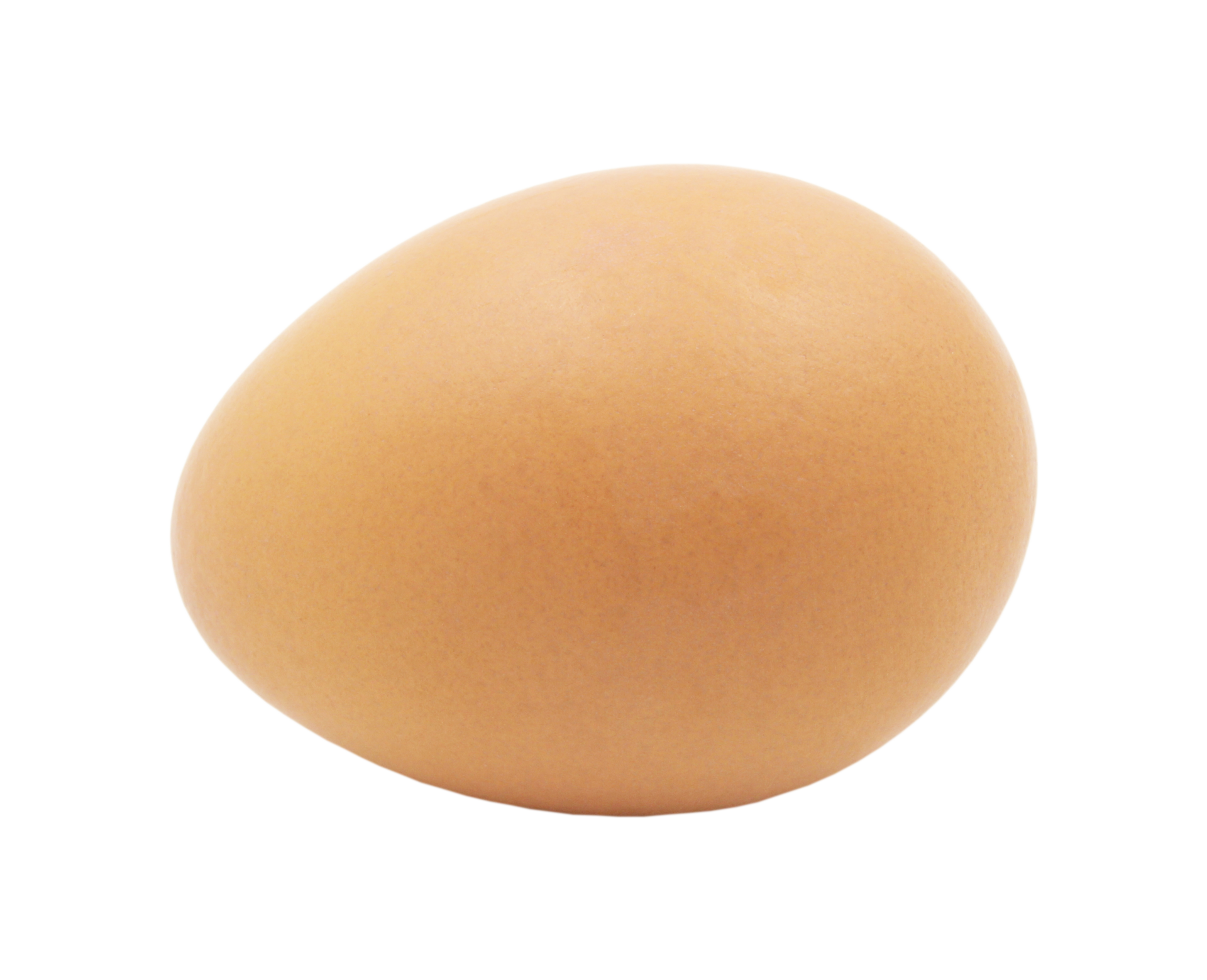 An Egg png 9887142 PNG