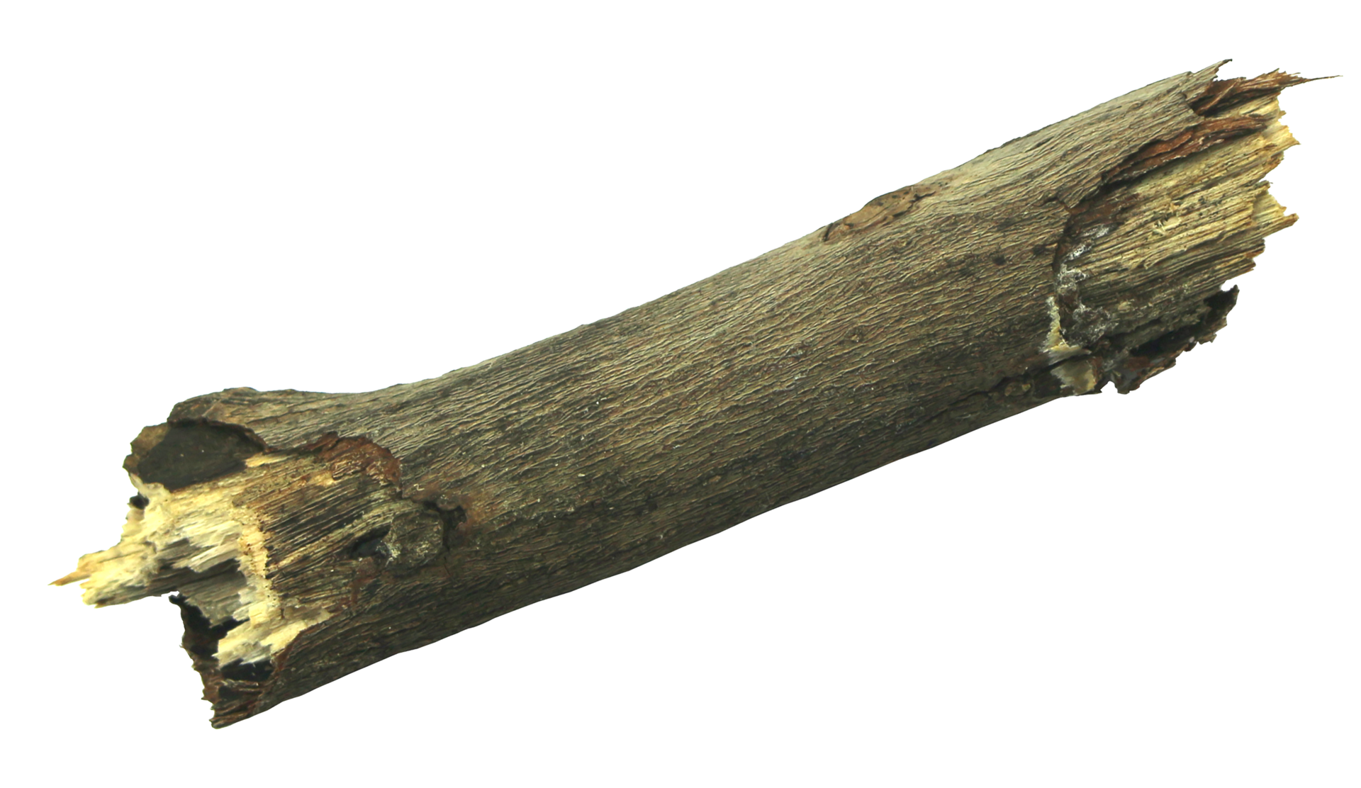 log wood isolate on transparent background png file 9887415 PNG log wood isolate on transparent background png file 9887415 PNG
