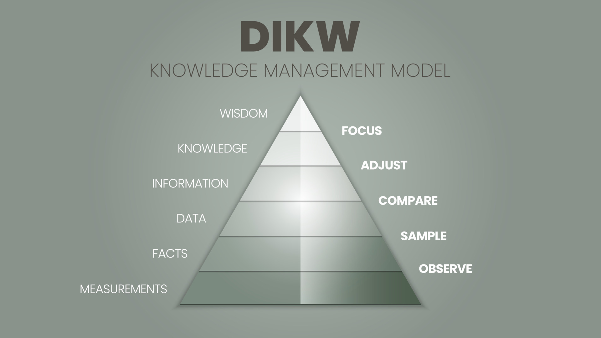 A vector illustration of the DIKW hierarchy has wisdom, knowledge ...