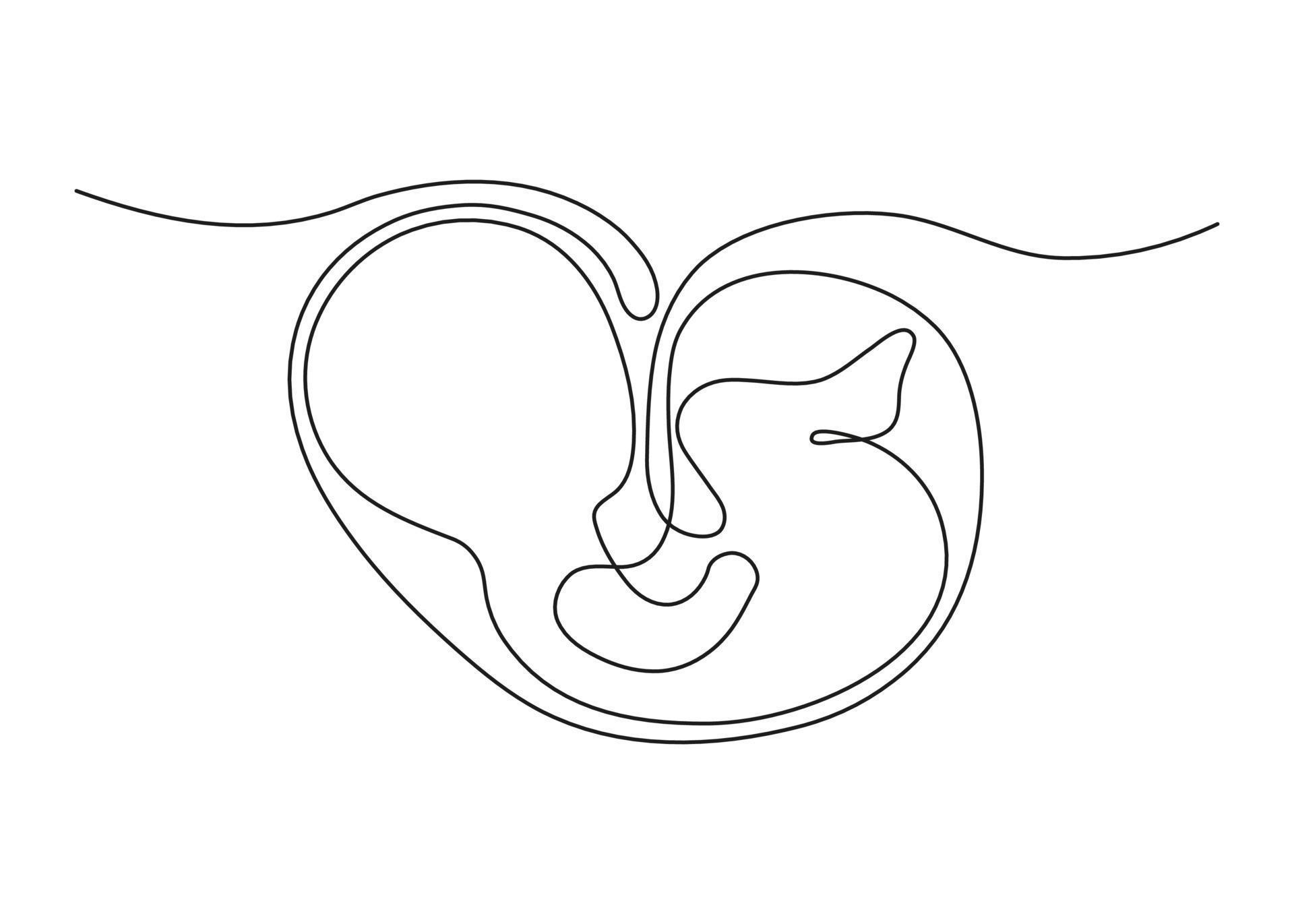 Baby embryo in womb, fetus one art line continuous drawing. Silhouette ...