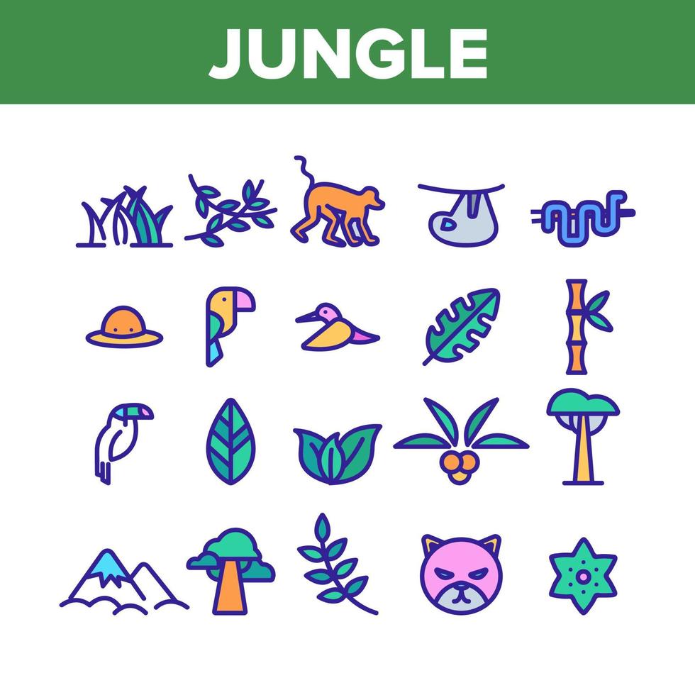 Jungle Forest Collection Elements Icons Set Vector 9924553 Vector Art