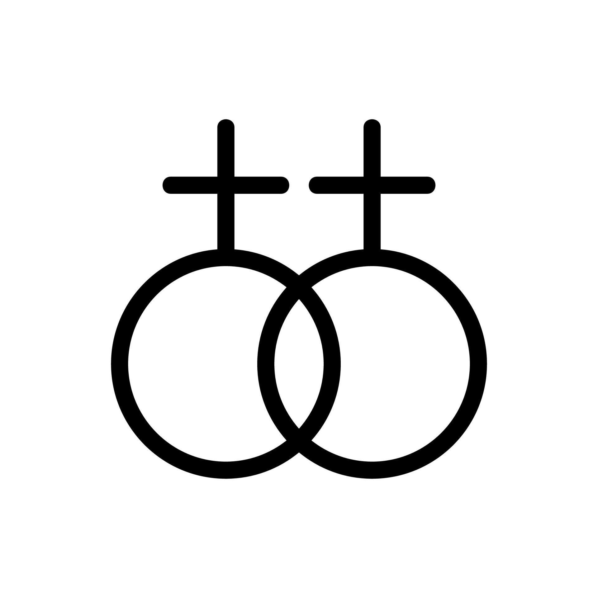 Same Sex Marriage Icon Vector Isolated Contour Symbol Illustration