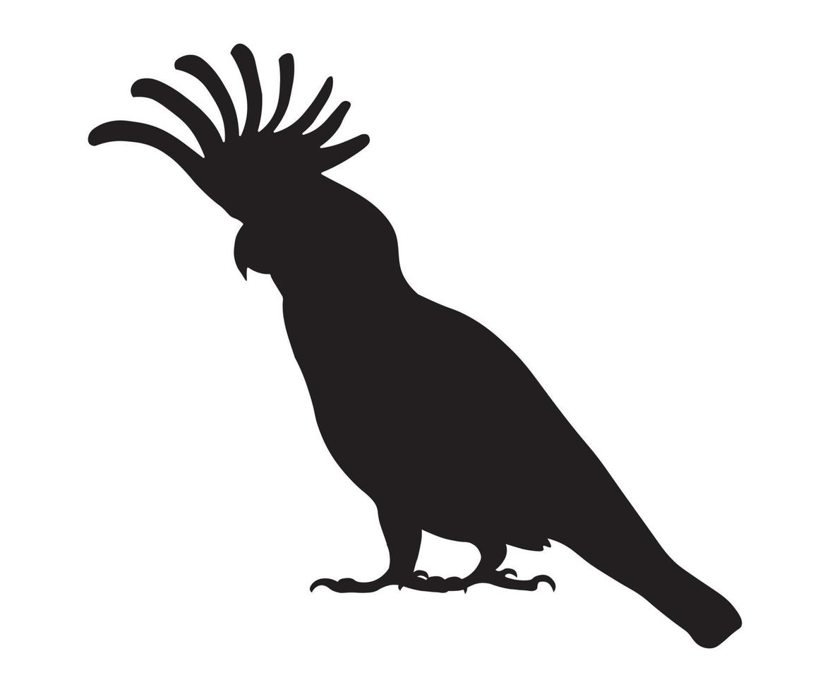Cockatoo Silhouette
