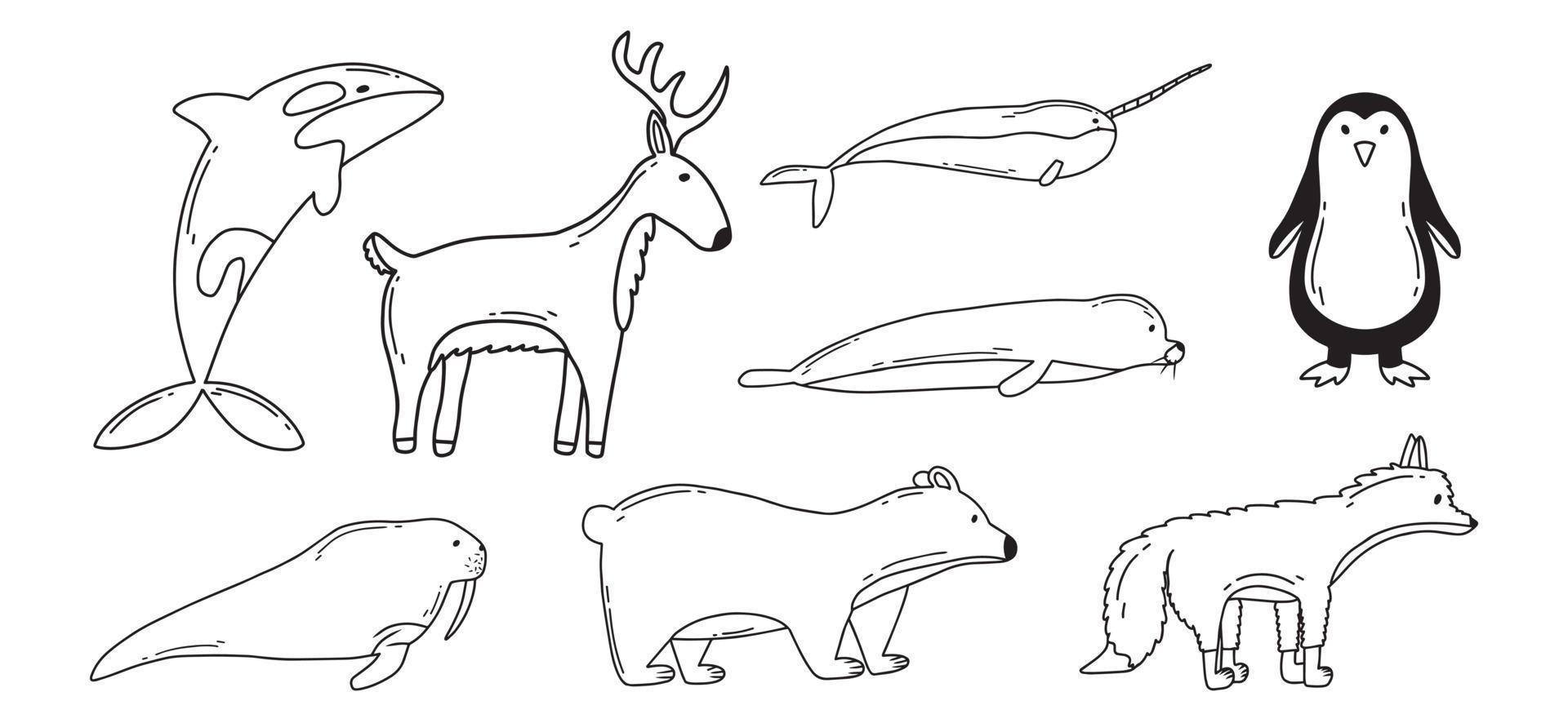 Arctic Animal Drawings