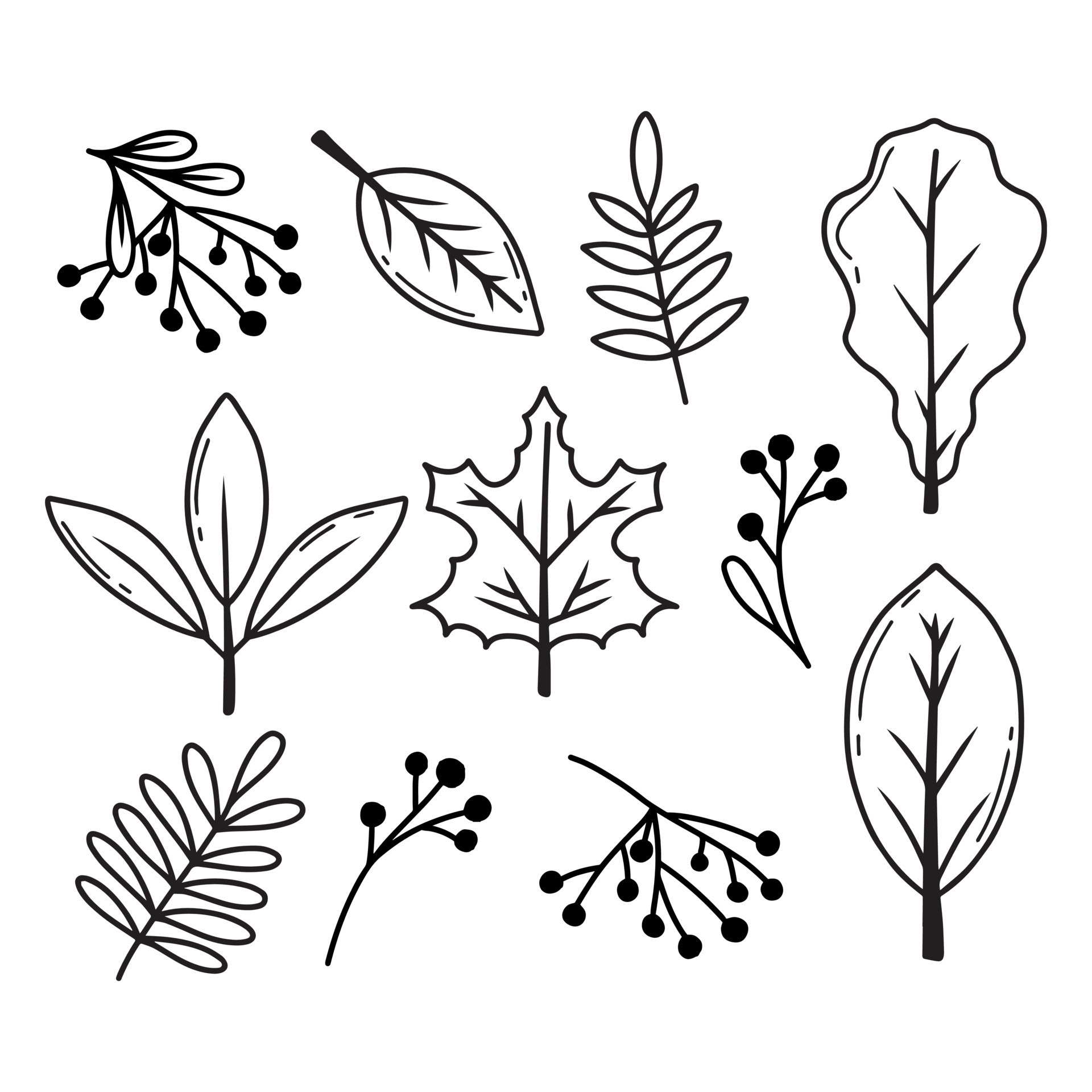 Set of autumn leaves. Hello, Autumn. Doodle style. Vector illustration ...
