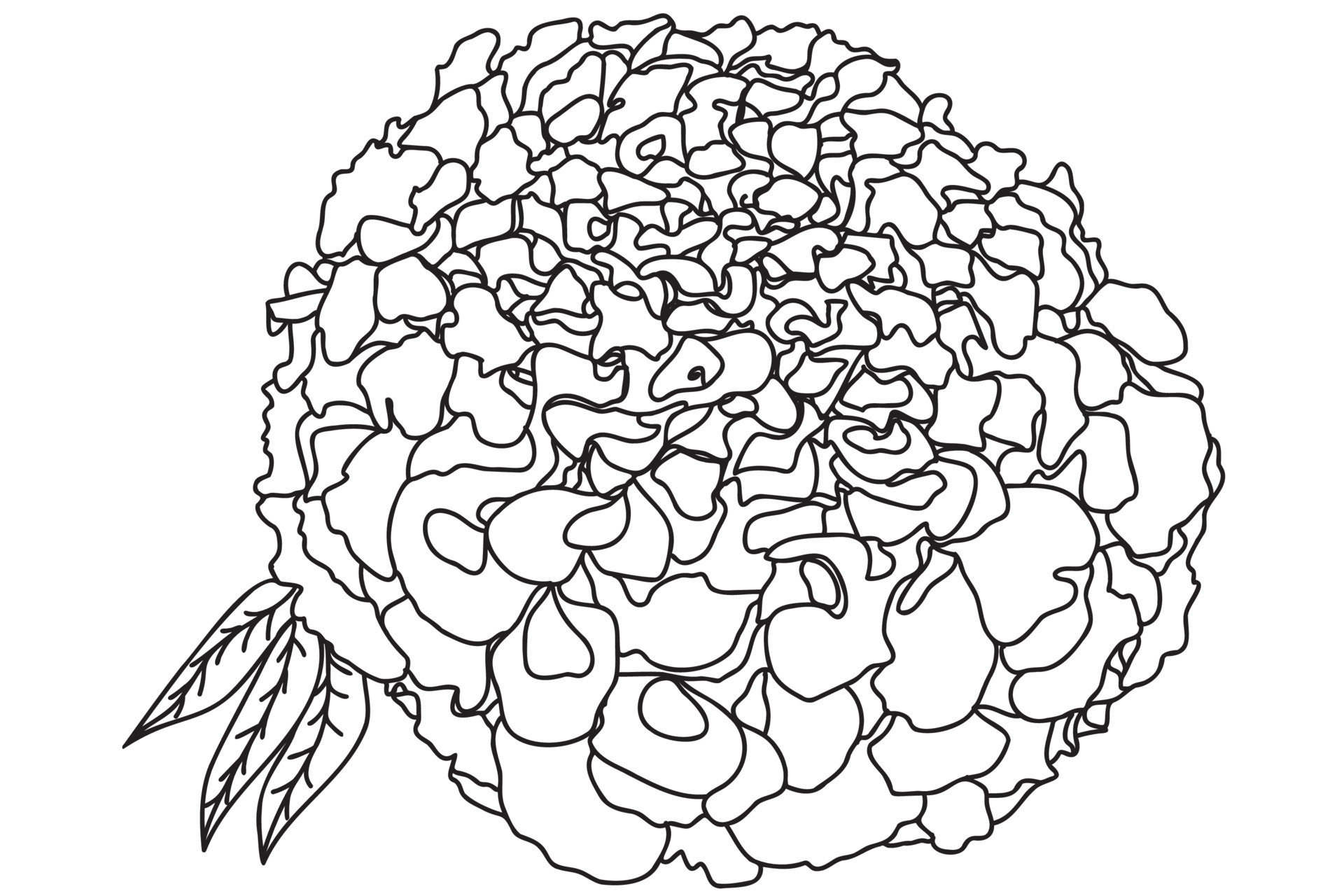 Calendula Flower Is Drawn You Can Use It For Cards Tattoos Prints March 1st 8 Valentine