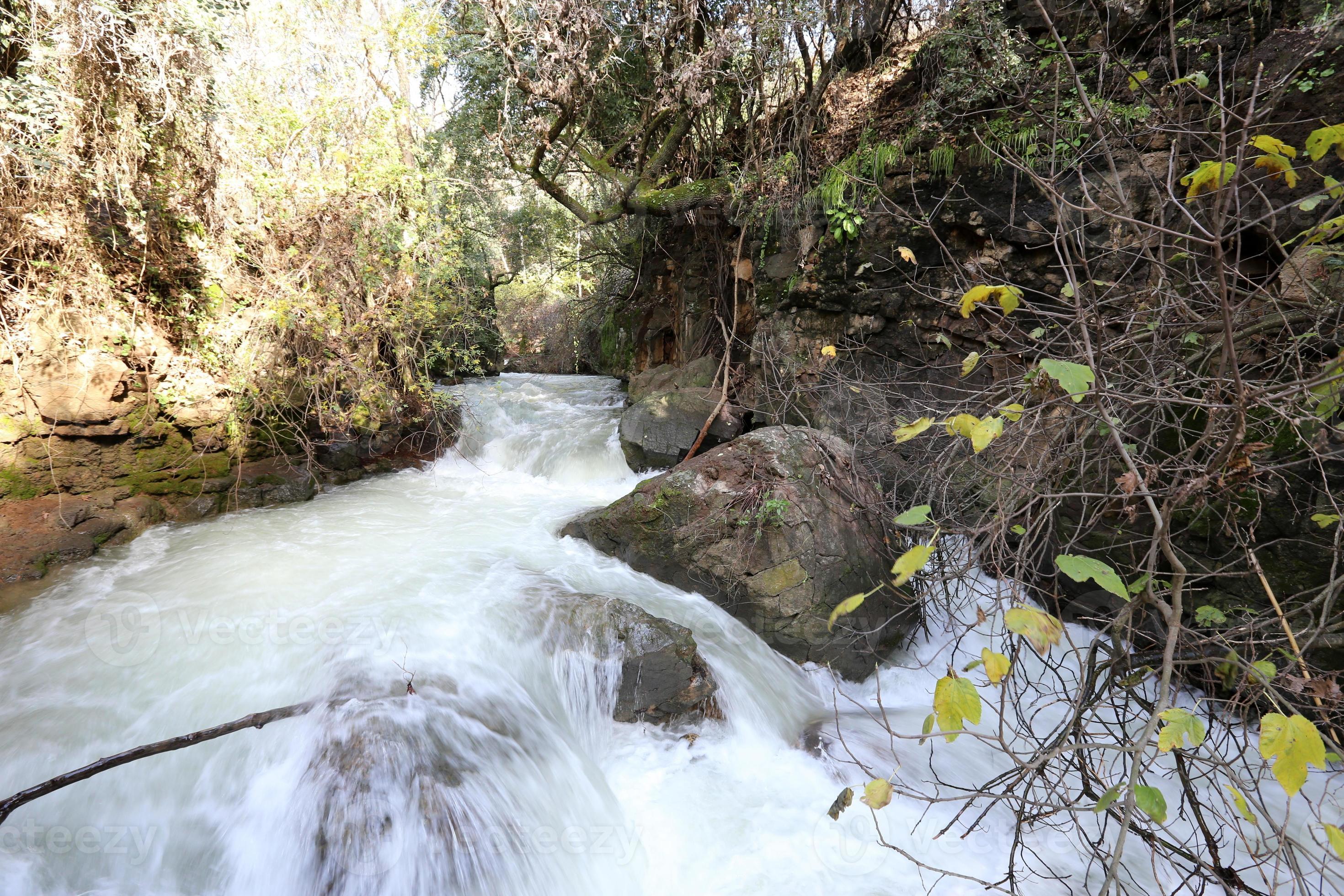 A bubbling stream of rainwater in a river in northern Israel. 9975453 ... A bubbling stream of rainwater in a river in northern Israel. 9975453 ...