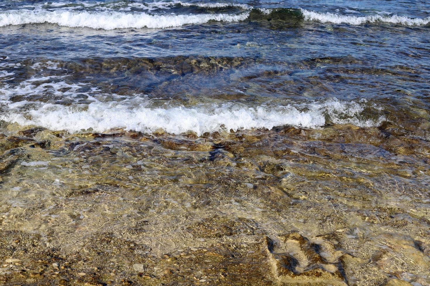 The color of sea water in shallow water. 9994450 Stock Photo at Vecteezy