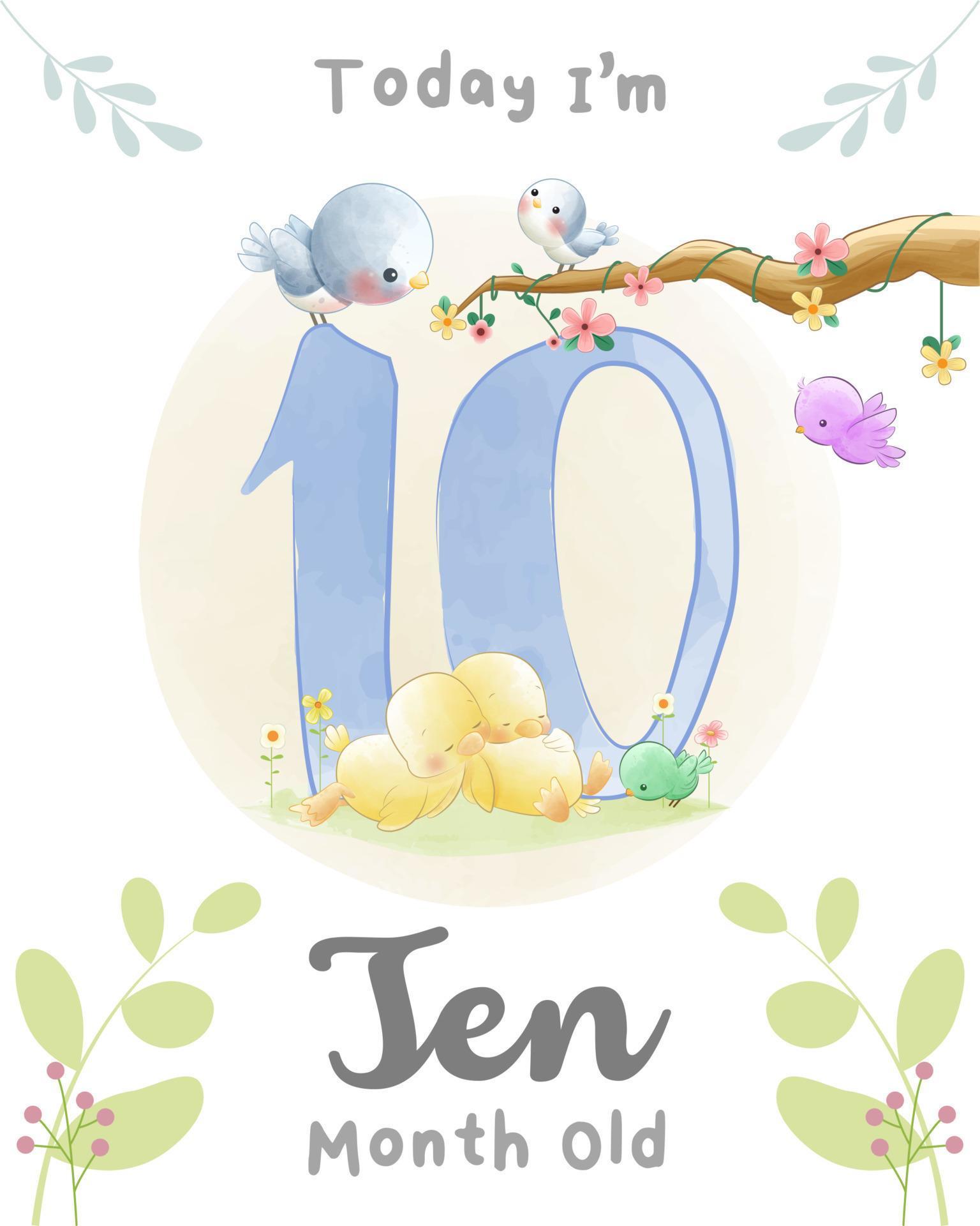 Cute baby Birds and ducks, Baby Milestone Cards Cute Animals 10008391 ...