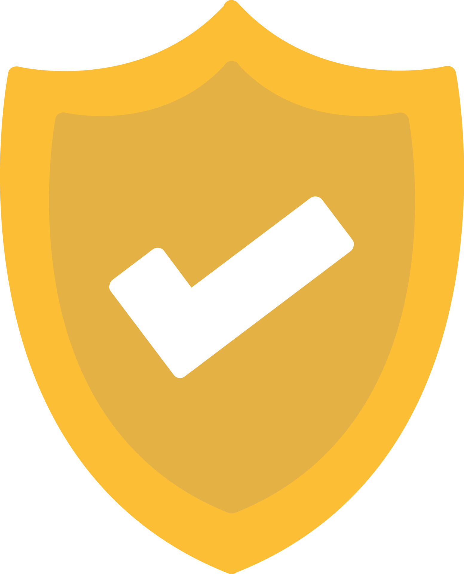 Shield Flat Icon 10010524 Vector Art at Vecteezy