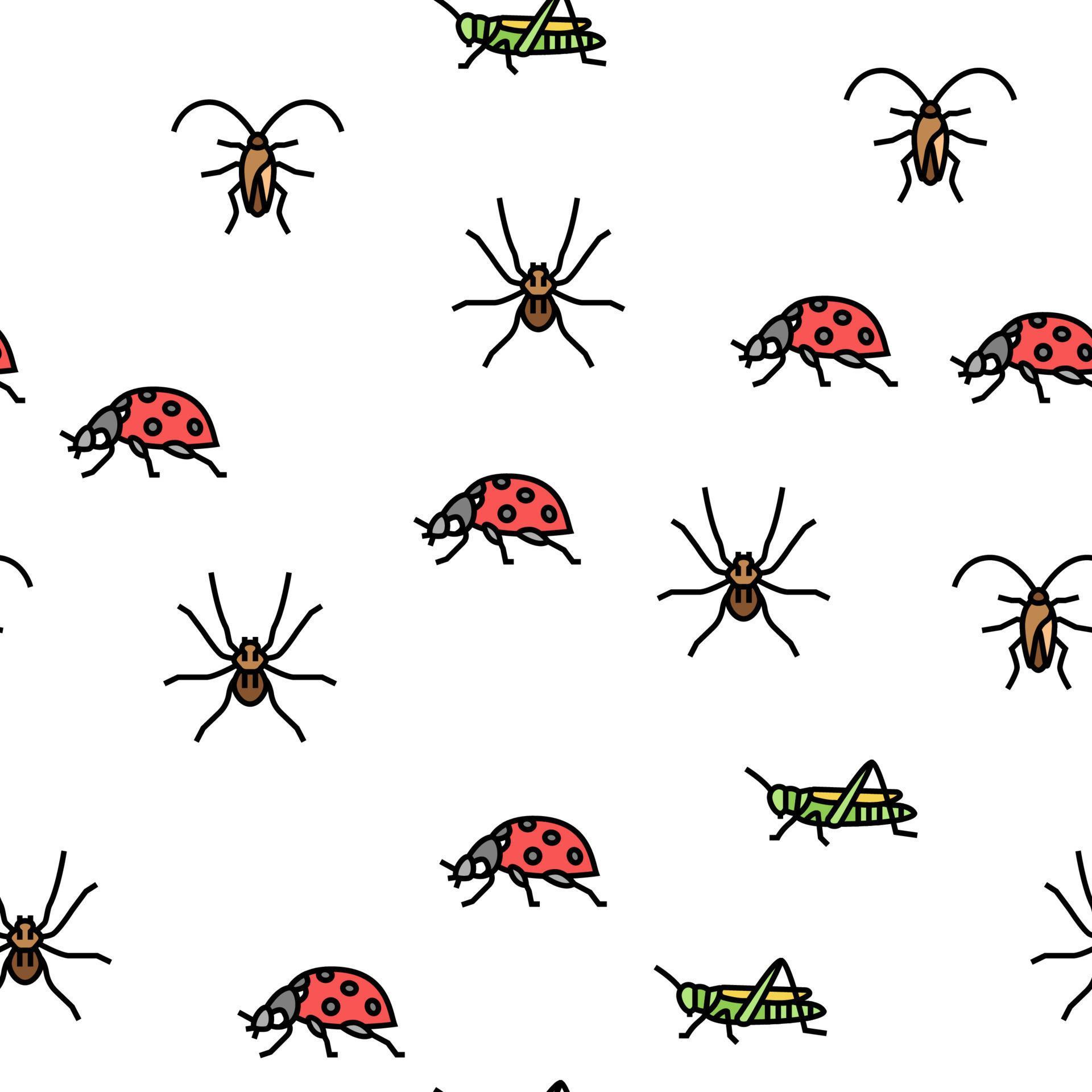 Insect, Spider And Bug Wildlife Vector Seamless Pattern 10017826 Vector ...