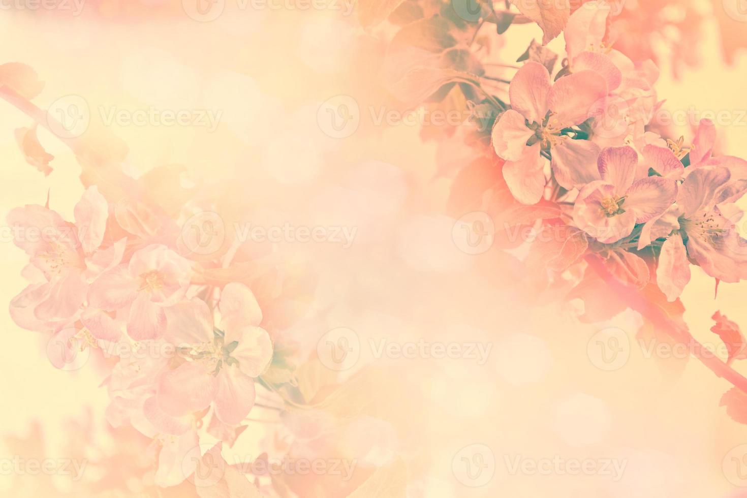 Spring garden. Flowering fruit trees. 10018728 Stock Photo at Vecteezy